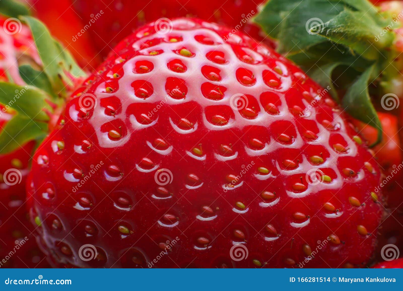 Beautiful Strawberry Closeup. Macro Image of Fresh Strawberries Stock ...