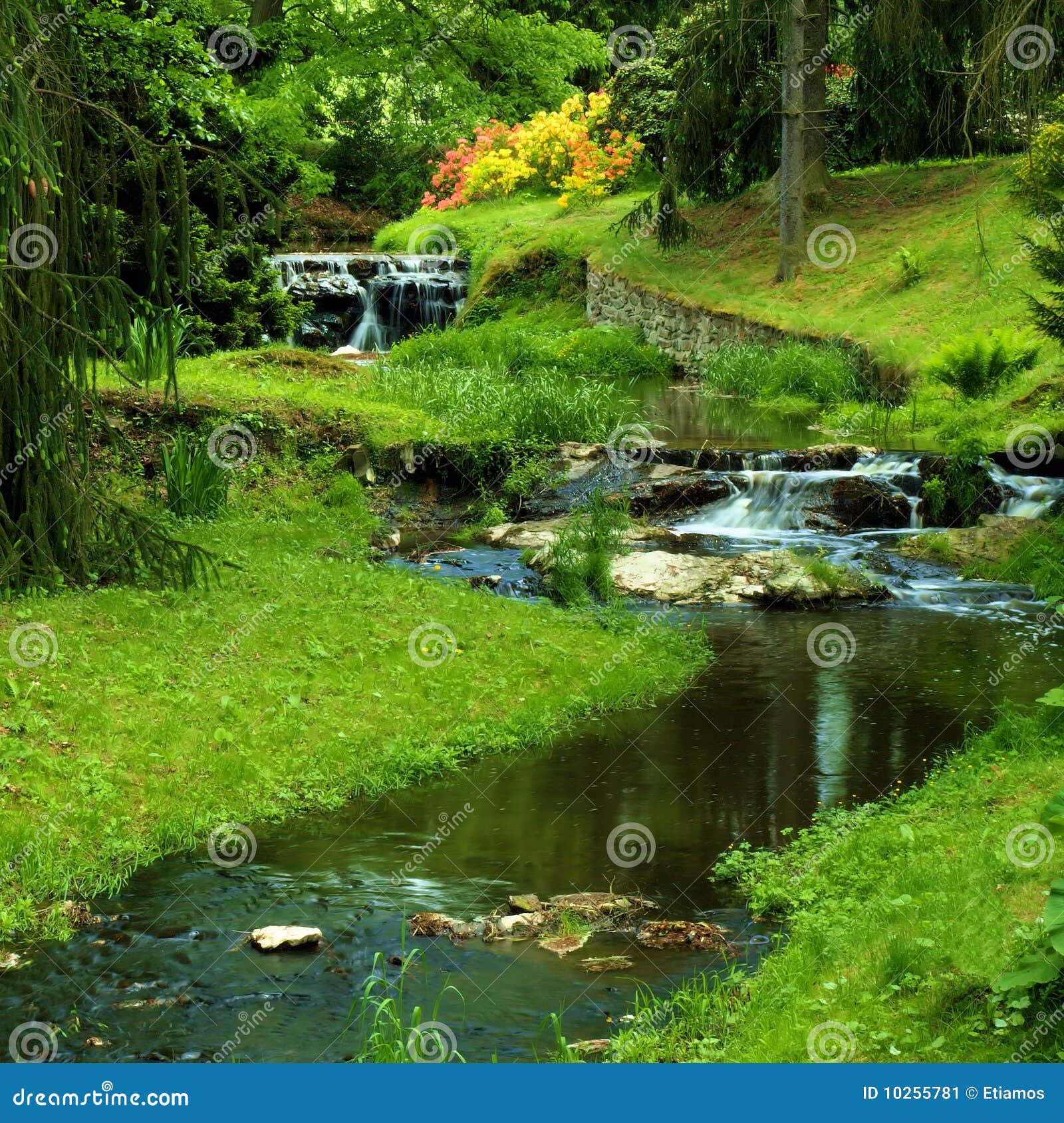 Beautiful stream stock image. Image of flower, early - 10255781