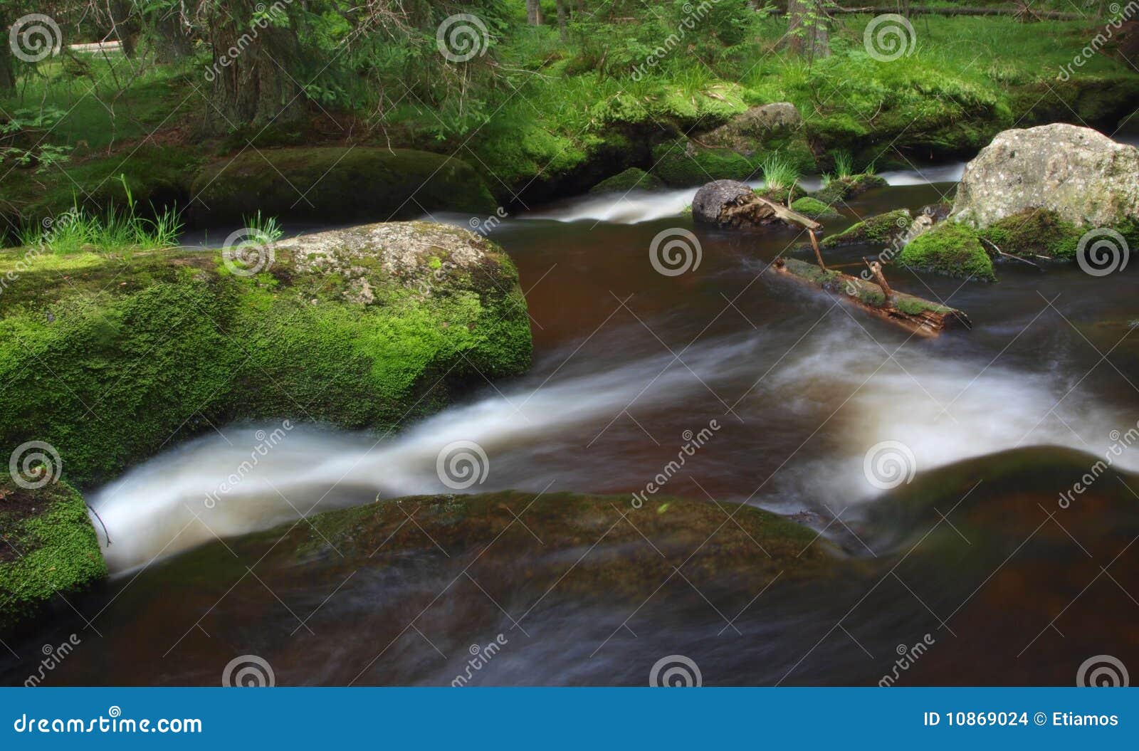Beautiful stream stock photo. Image of luminous, mirror - 10869024