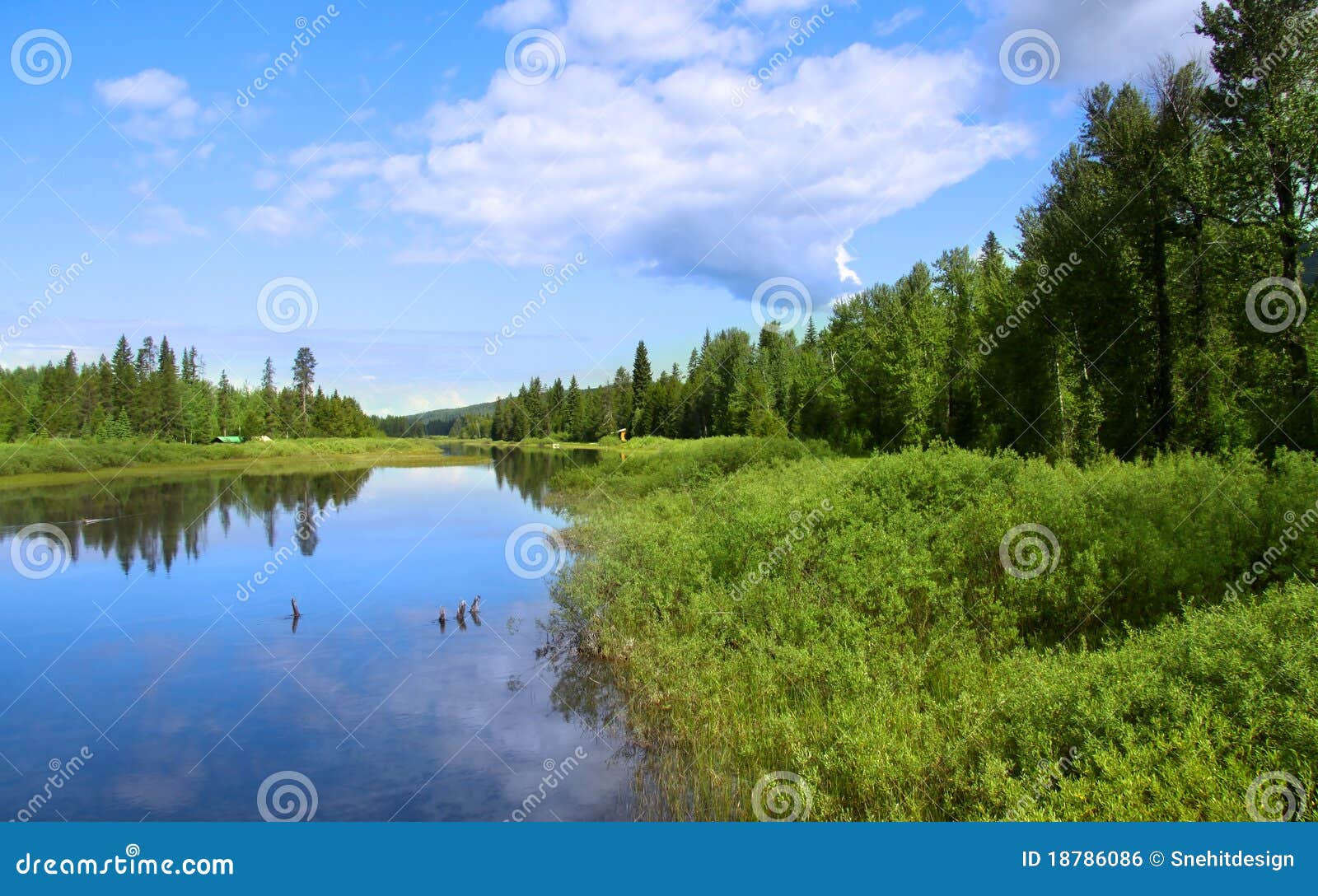 Beautiful stream stock photo. Image of glacier, park - 18786086