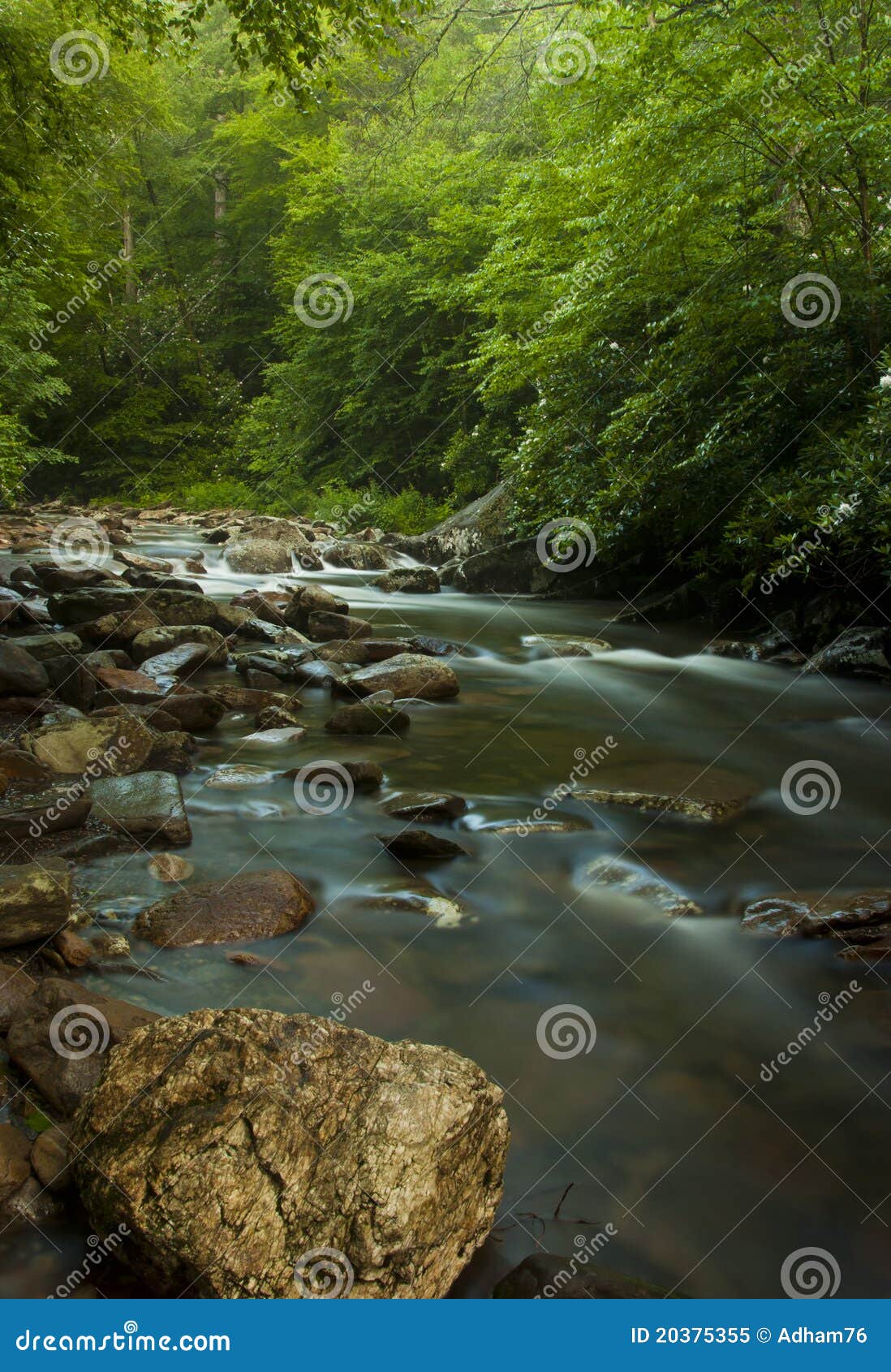 Beautiful stream stock image. Image of long, running - 20375355