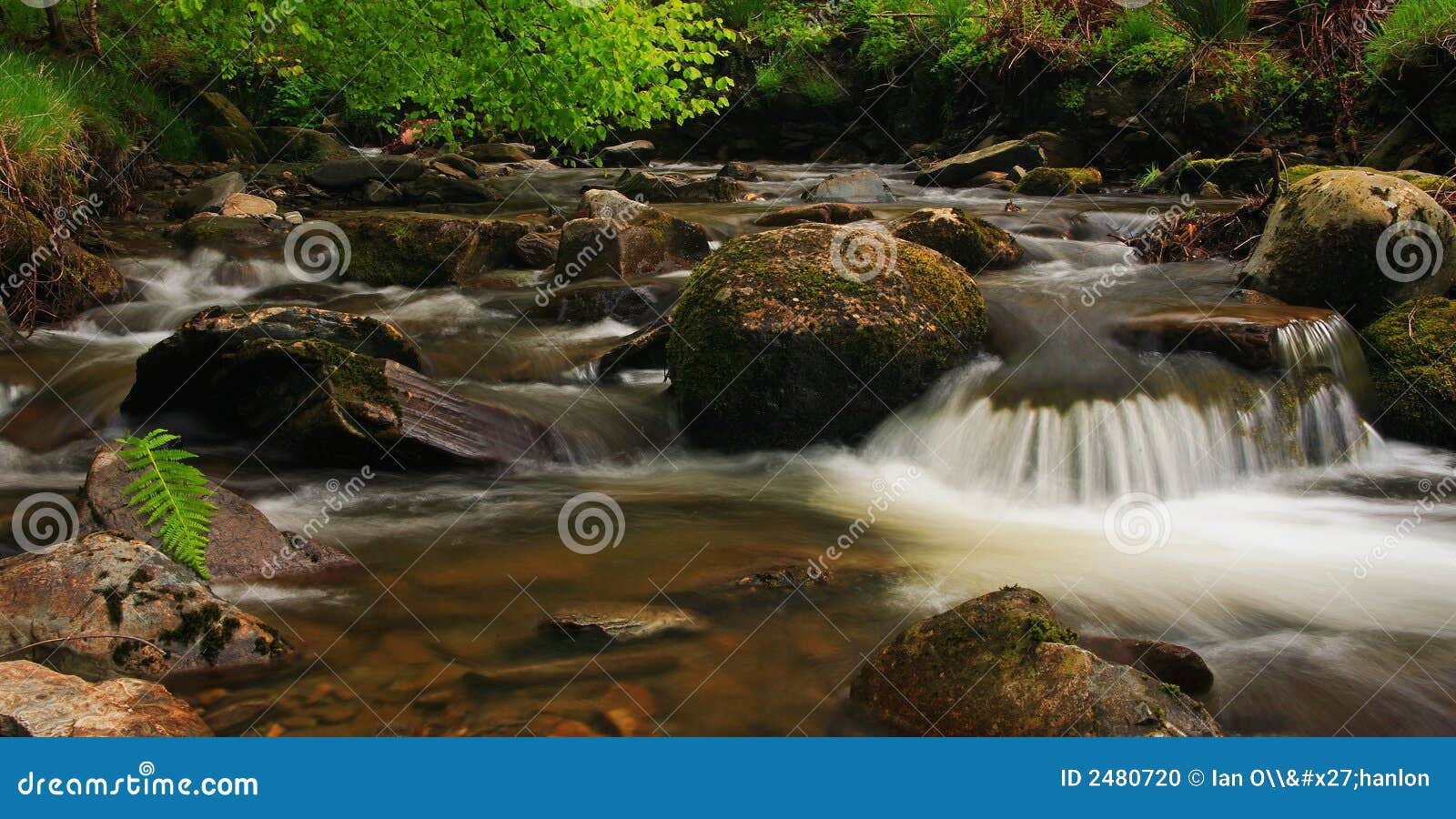 Beautiful stream stock photo. Image of river, colorful - 2480720