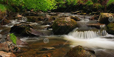 Beautiful stream stock photo. Image of river, colorful - 2480720