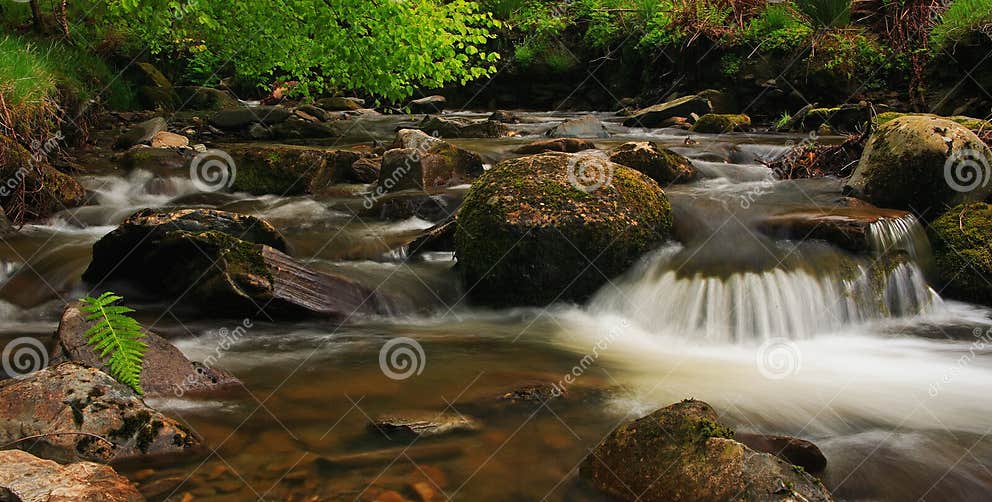 Beautiful stream stock photo. Image of river, colorful - 2480720