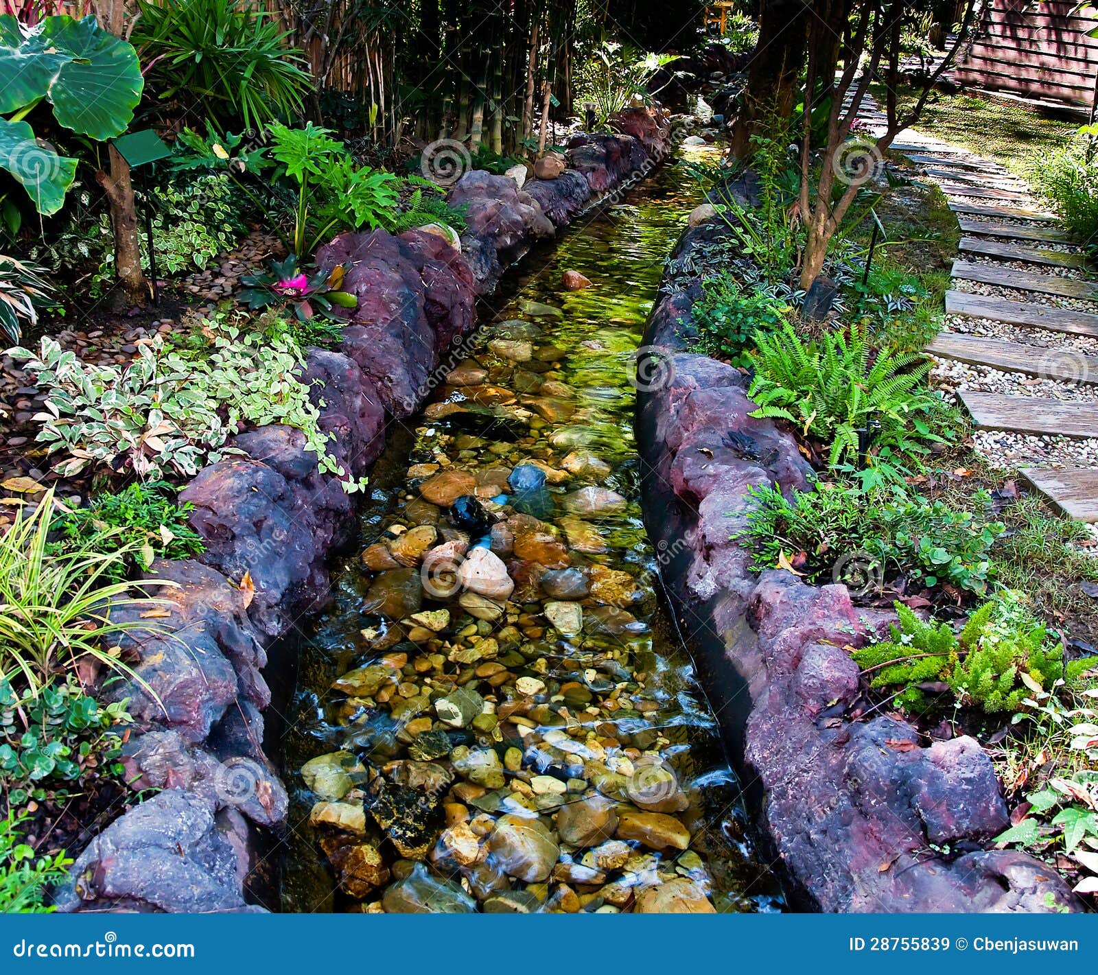 The Beautiful stream stock image. Image of rock, moss - 28755839