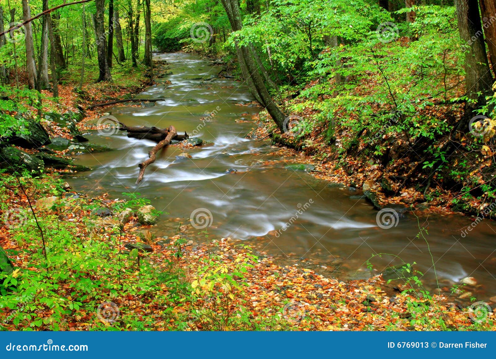 Beautiful Stream stock image. Image of rock, environment - 6769013