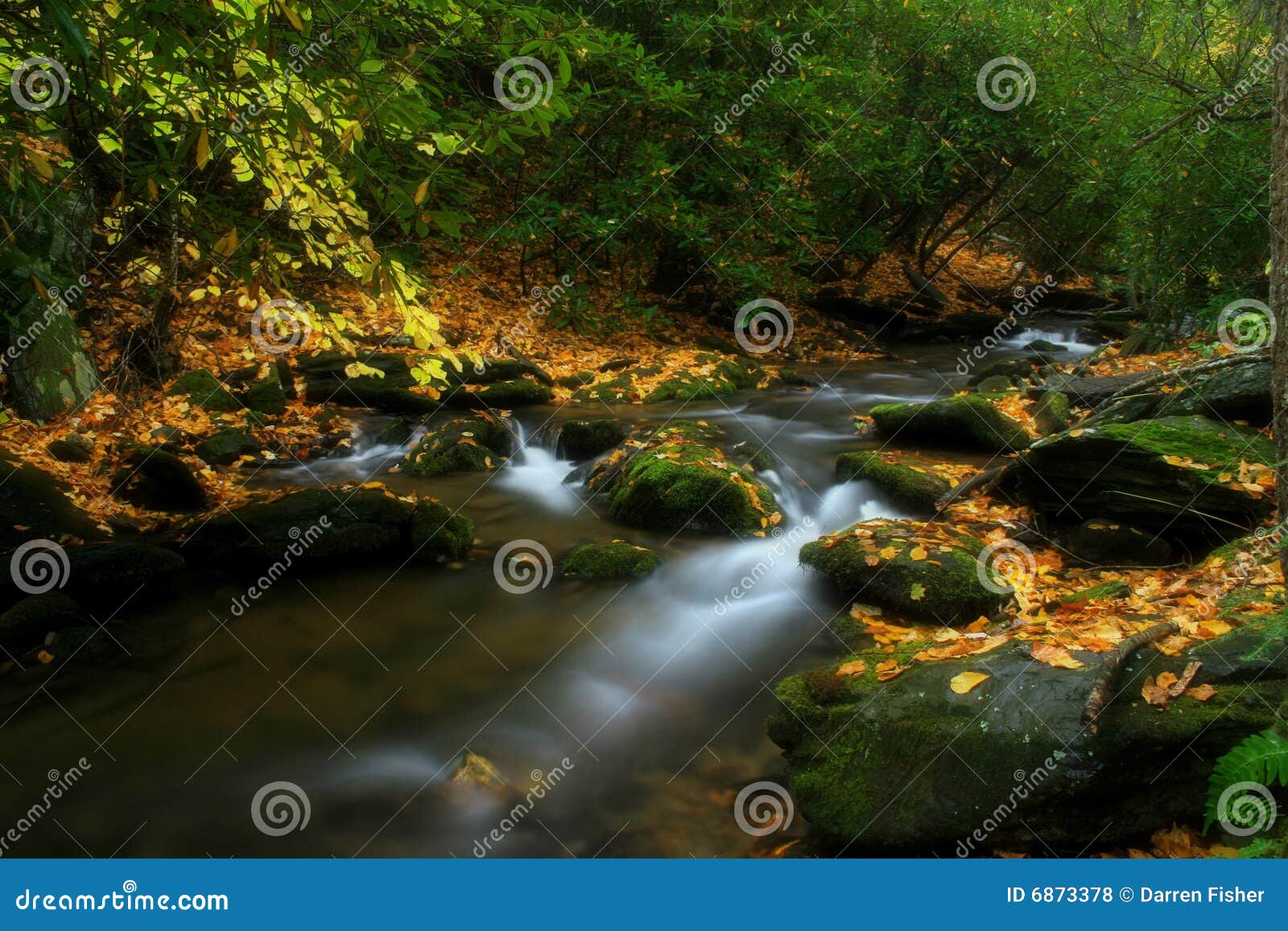 Beautiful Stream stock photo. Image of landscape, outdoor - 6873378