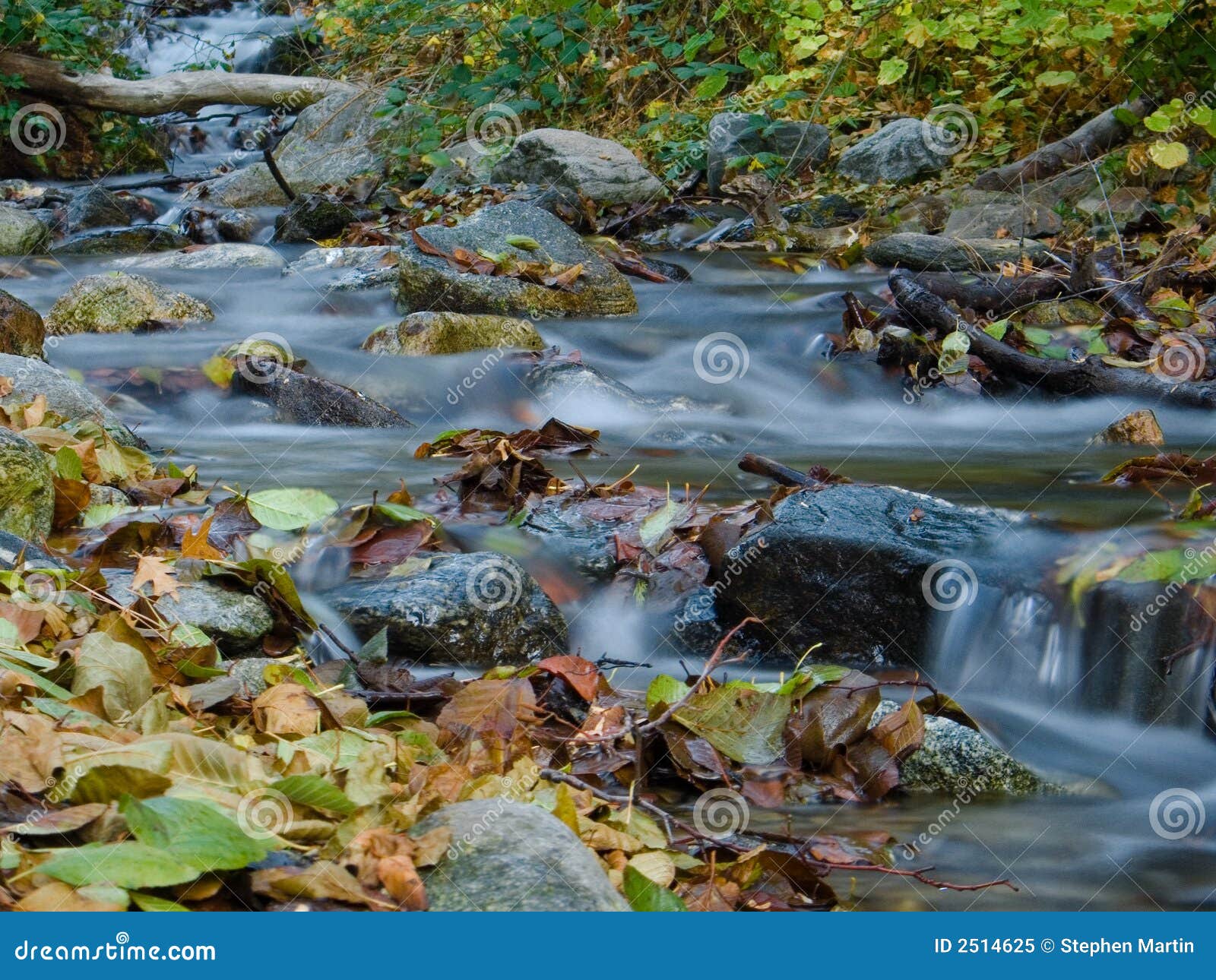 Beautiful Stream in Autumn stock image. Image of river - 2514625