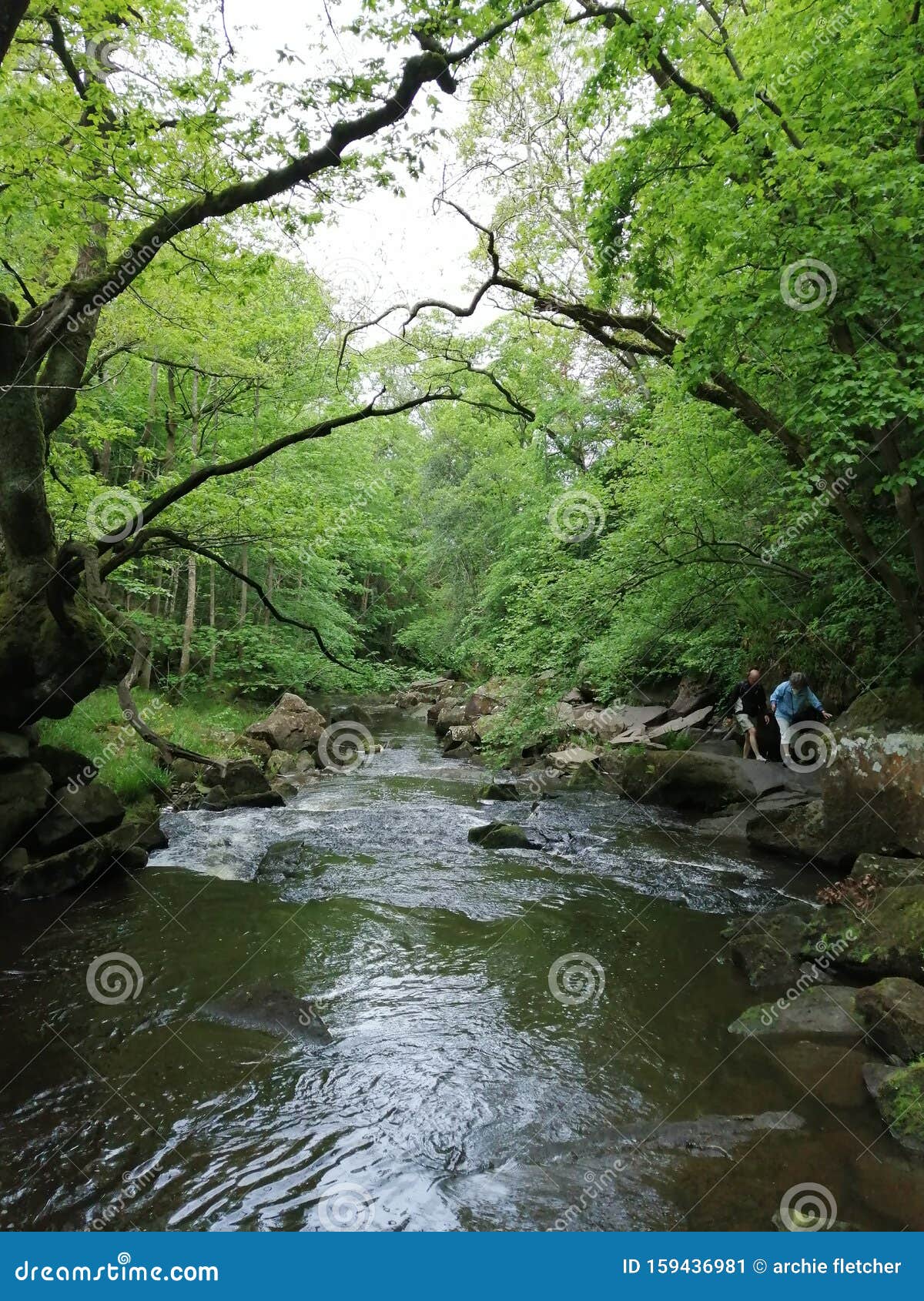 Beautiful Stream British Countryside Stock Image - Image of british ...