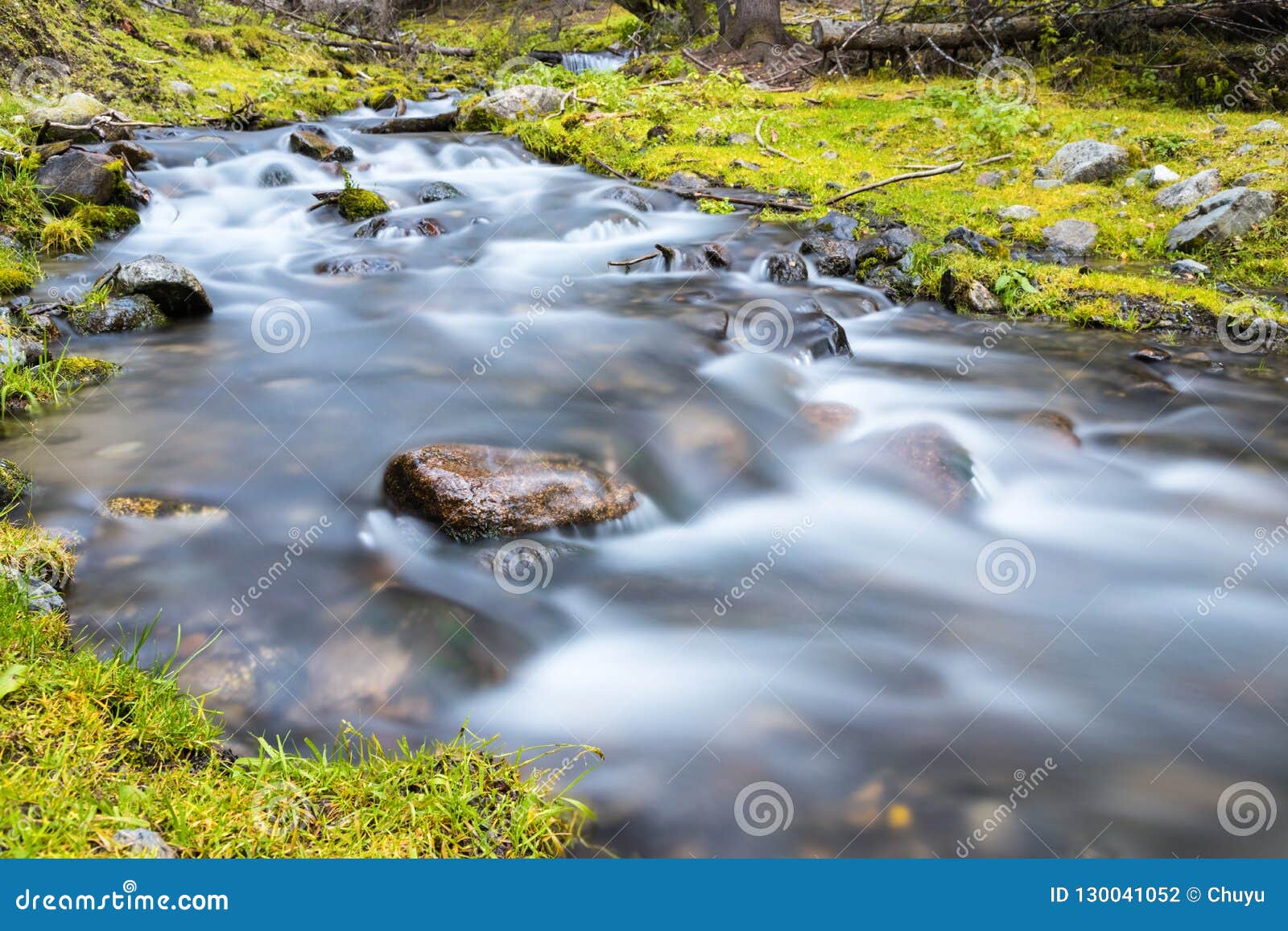 Beautiful stream closeup stock photo. Image of ecology - 130041052