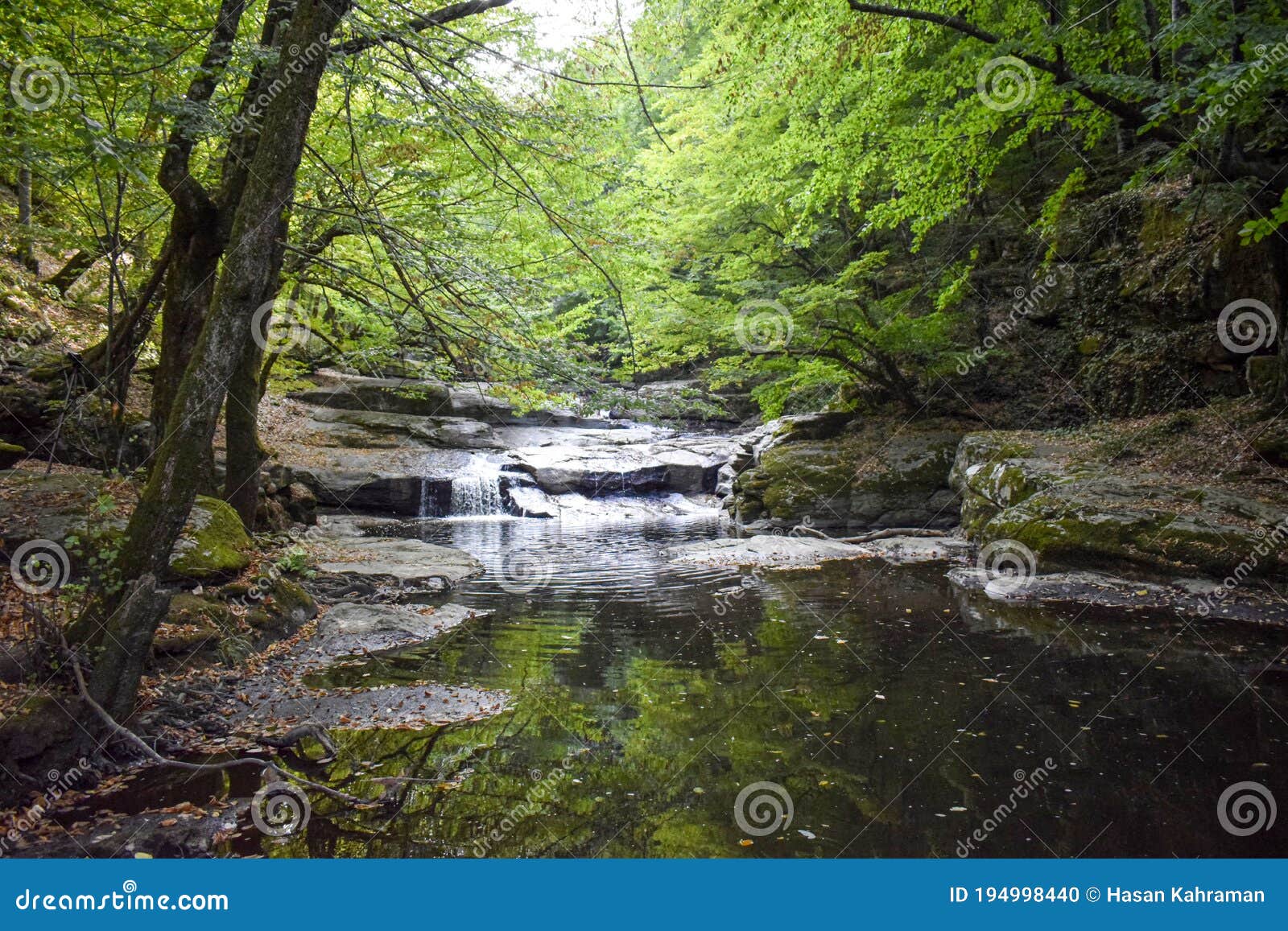 A Beautiful Stream Flowing in the Forest Stock Photo - Image of nature ...