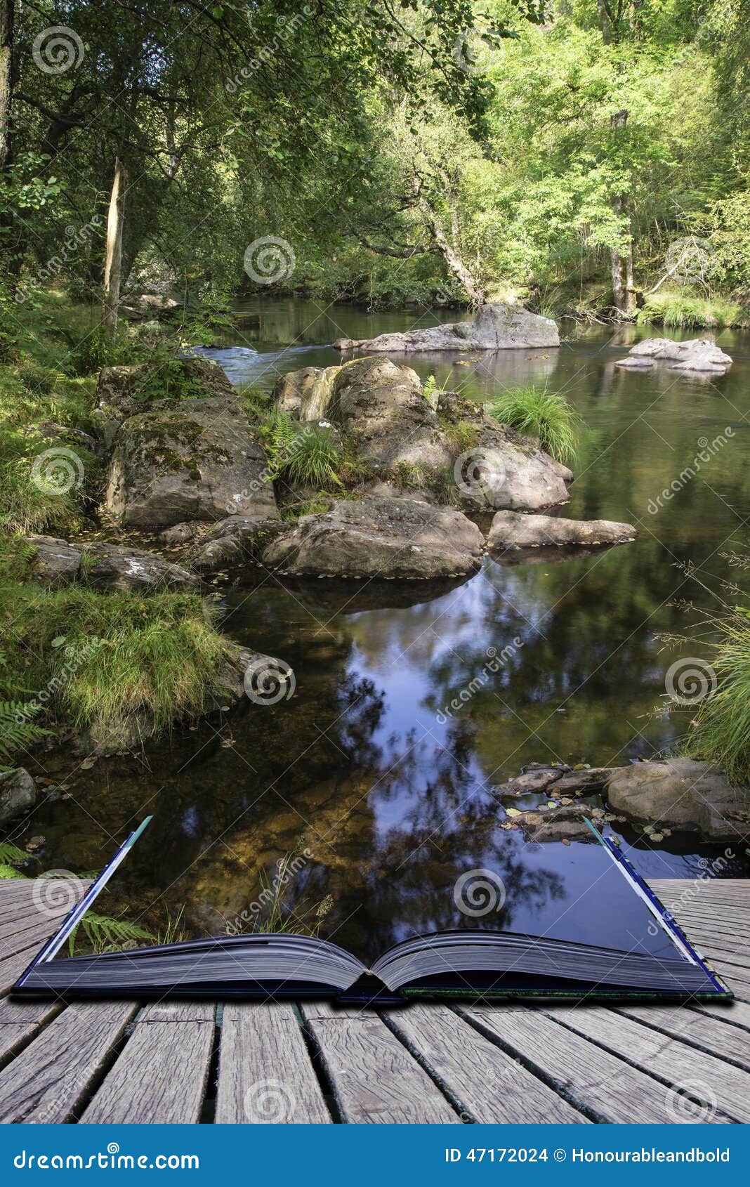 Beautiful Stream Flowing through Forest Landscape in Summer Conceptual ...
