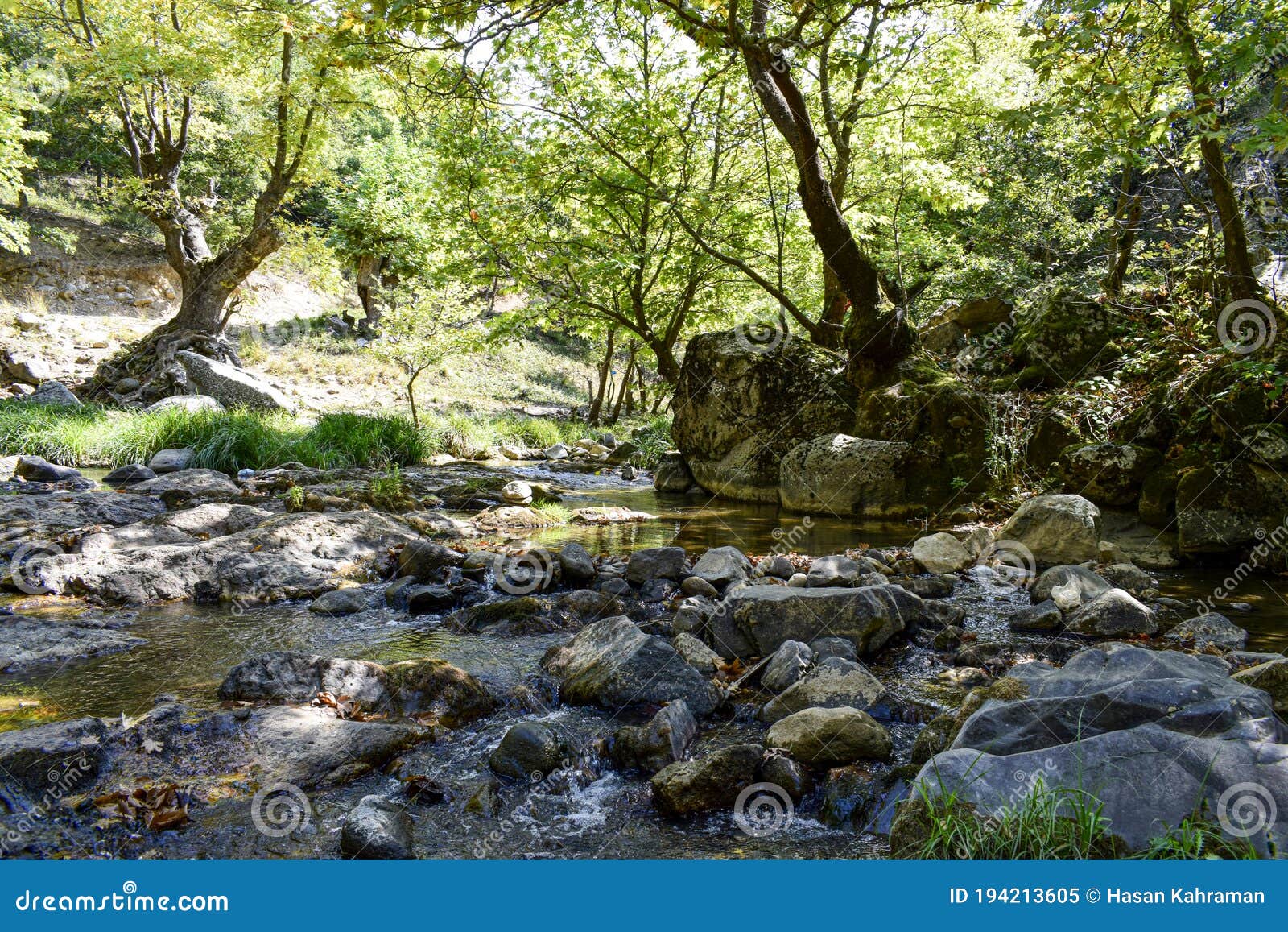 A Beautiful Stream Flowing in the Greenery Stock Image - Image of green ...