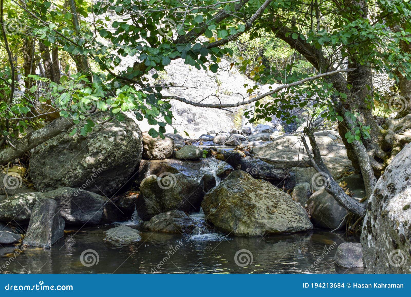 A Beautiful Stream Flowing in the Greenery Stock Photo - Image of ...