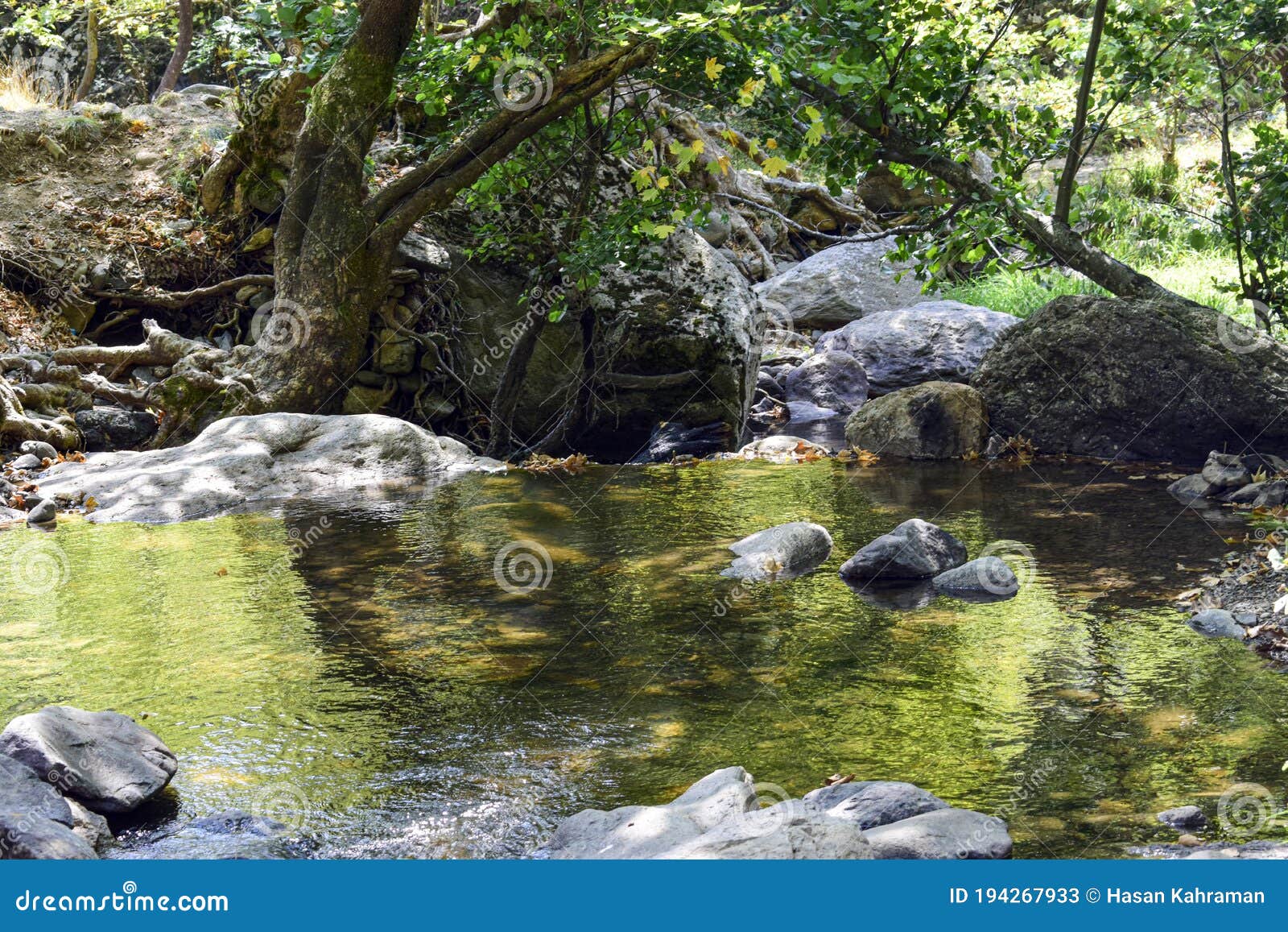 A Beautiful Stream Flowing in the Greenery Stock Image - Image of ...