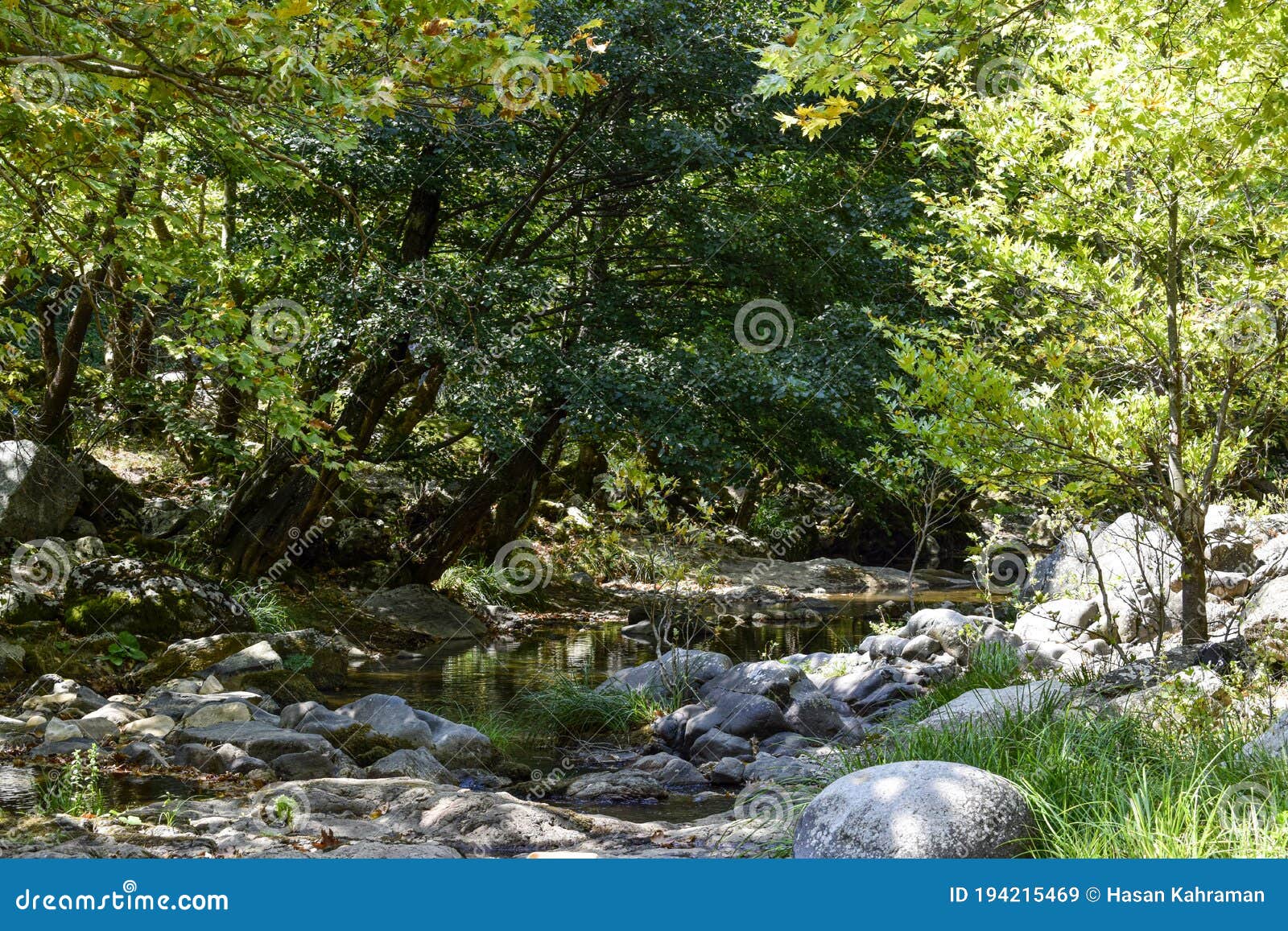 A Beautiful Stream Flowing in the Greenery Stock Image - Image of ...
