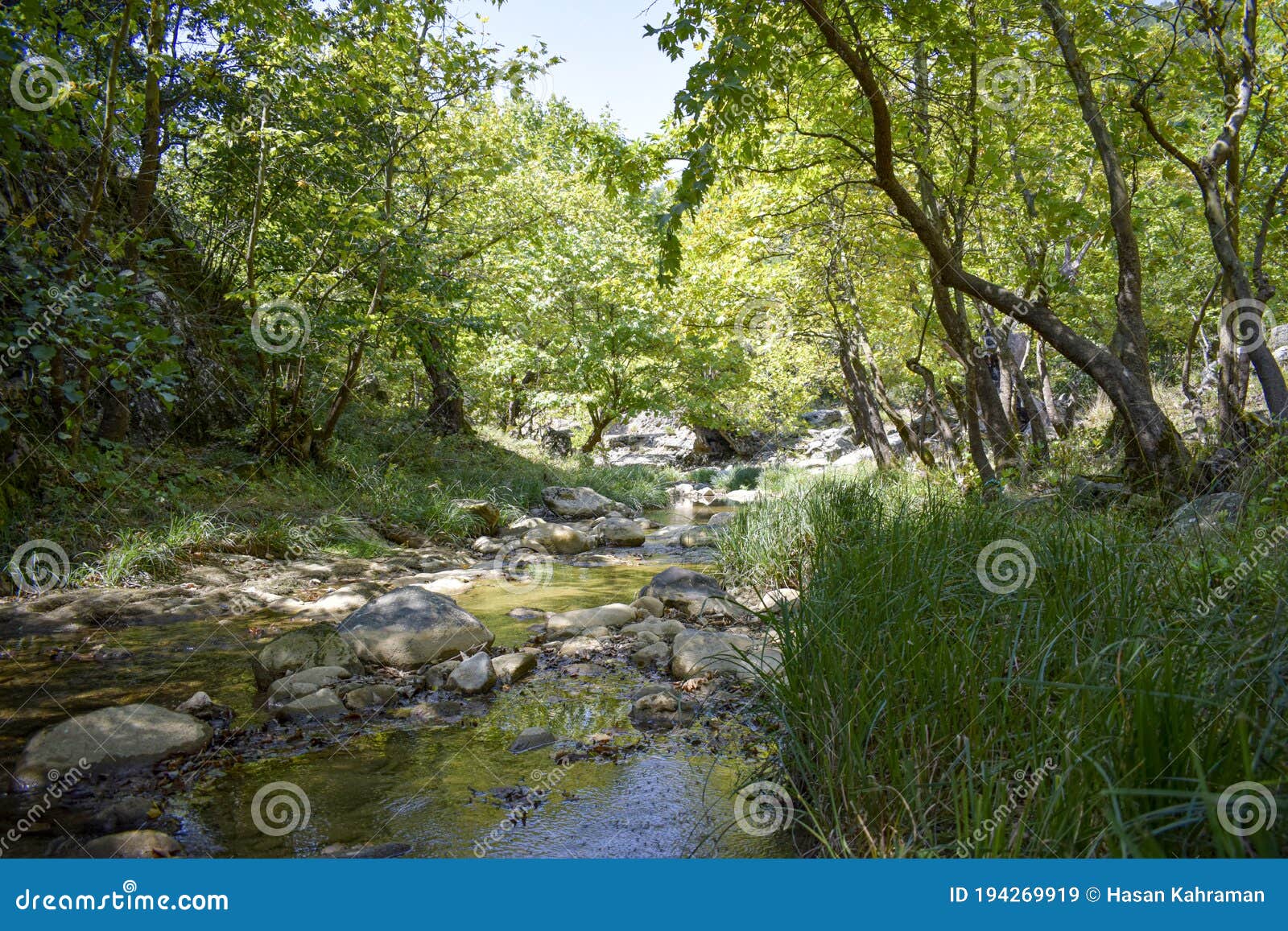 A Beautiful Stream Flowing in the Greenery Stock Image - Image of ...