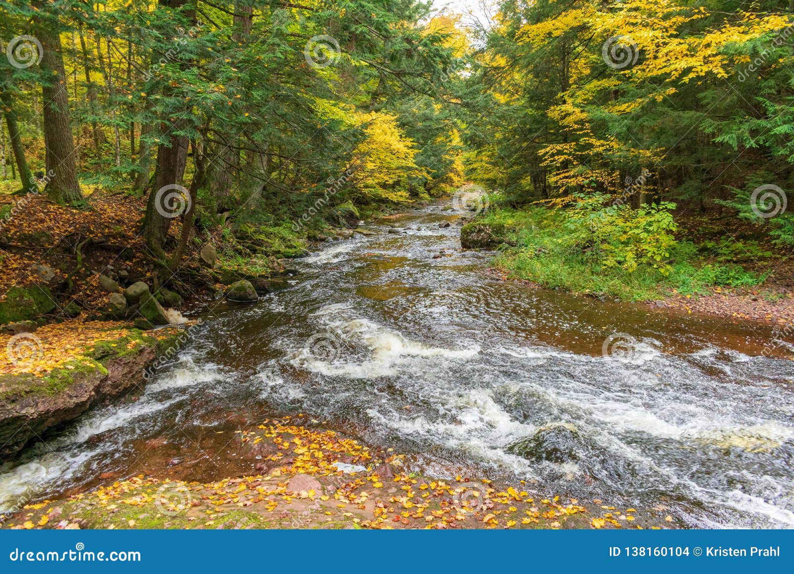 Beautiful Stream Flowing through Woods in Autumn Stock Photo - Image of ...