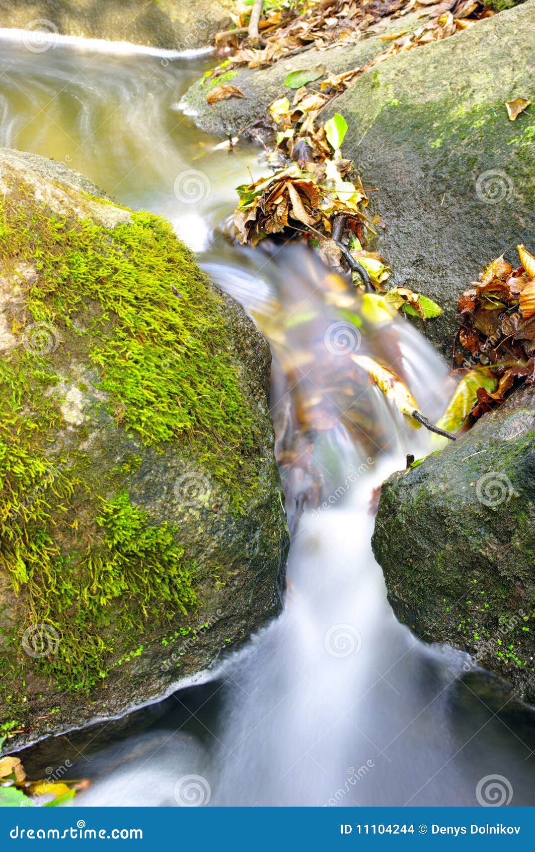 The Beautiful Stream in Forest Stock Photo - Image of long, exposure ...