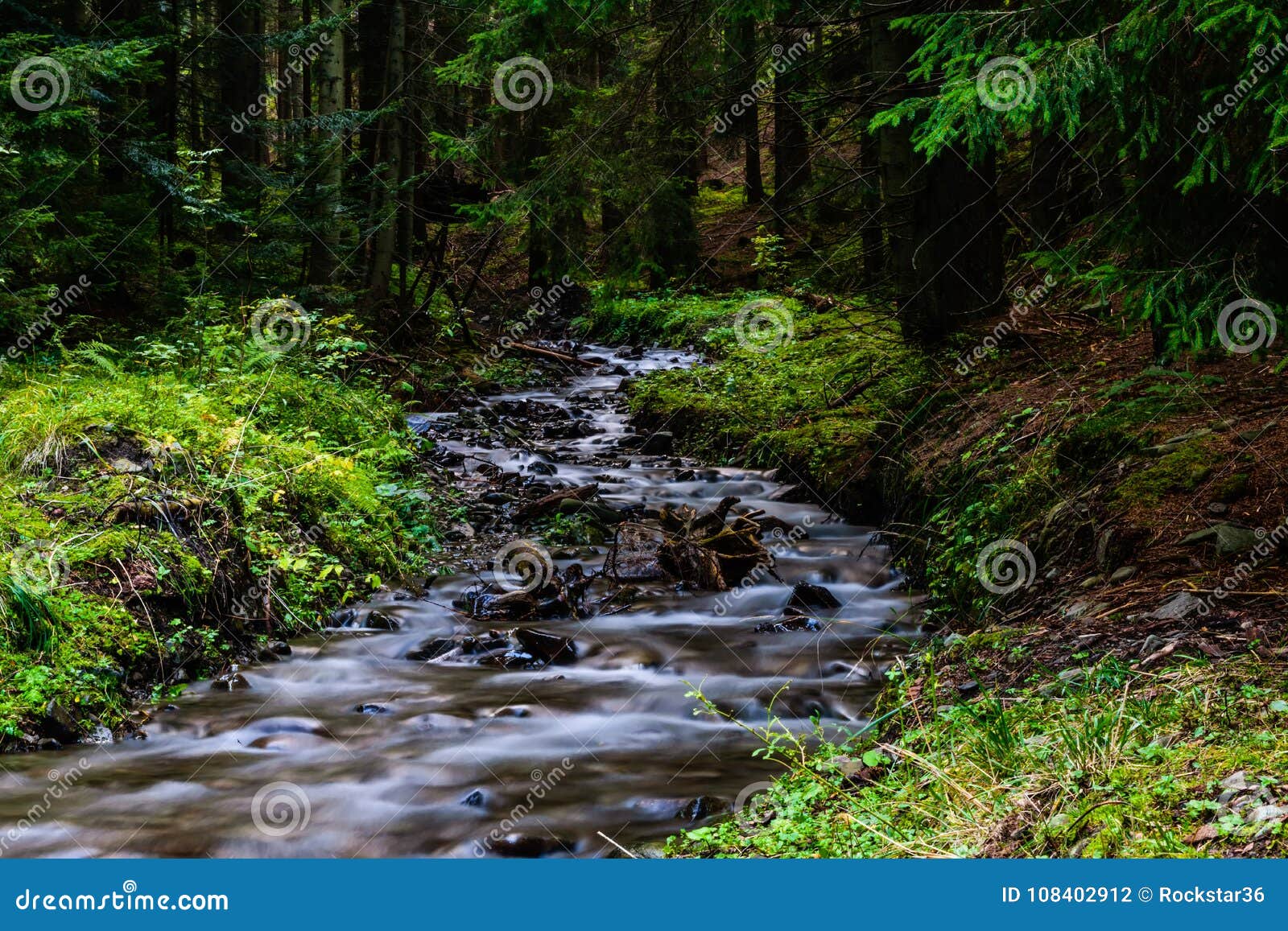 Beautiful stream in forest stock photo. Image of slovakia - 108402912