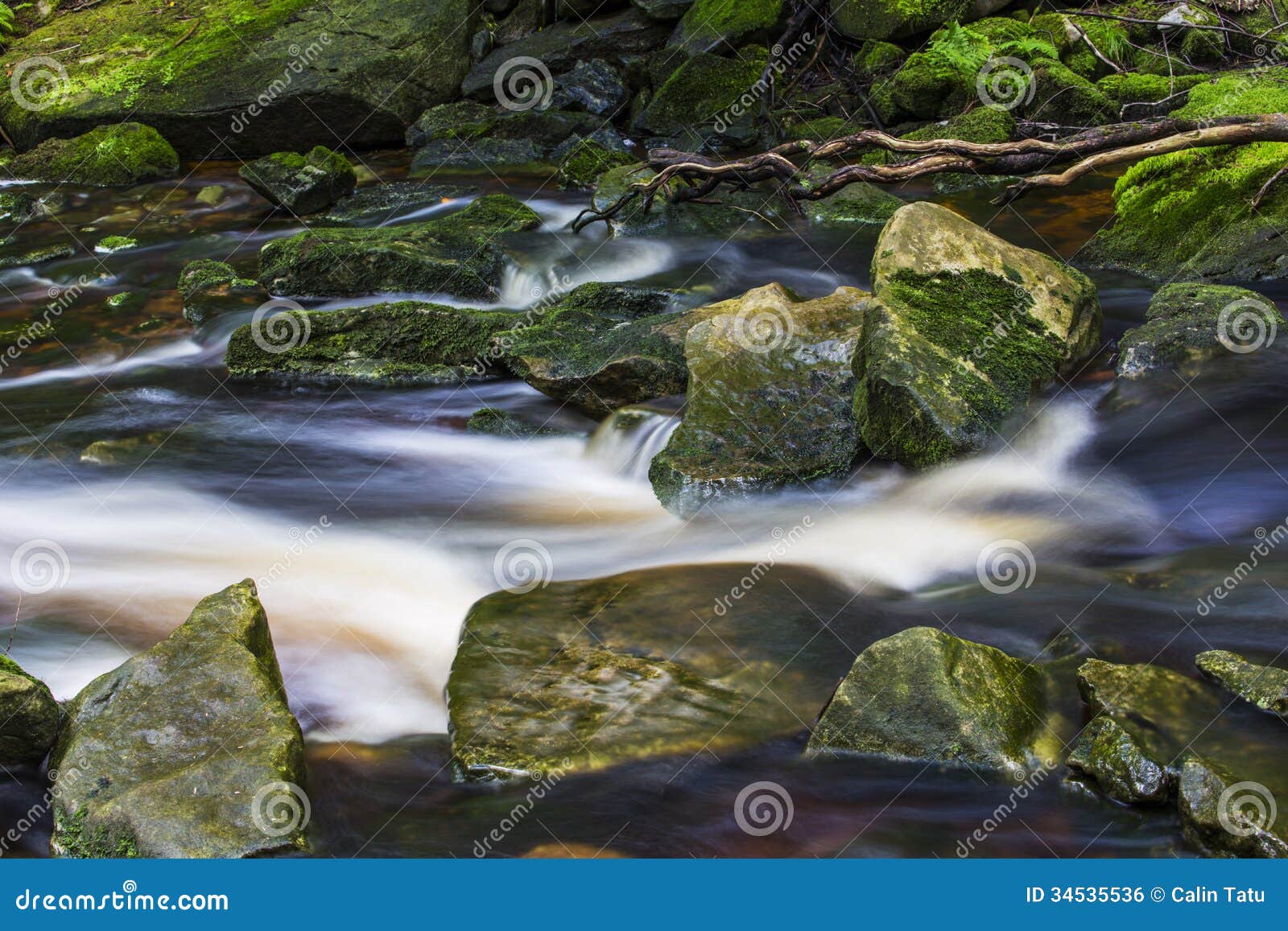 Beautiful Stream in the Mountains Stock Photo - Image of mountain ...