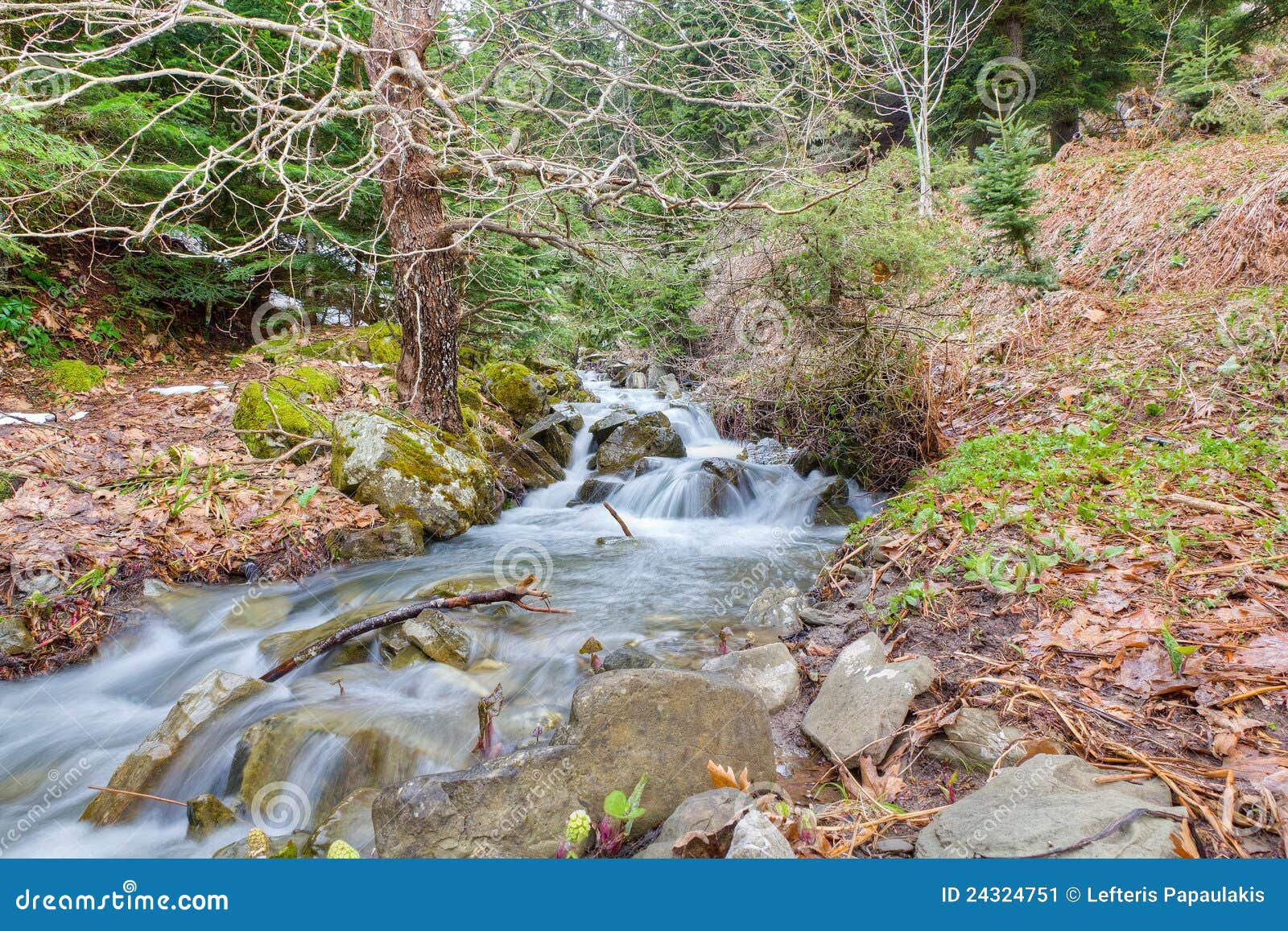 A Beautiful Stream on Pindus Mountain, Greece Stock Image - Image of ...