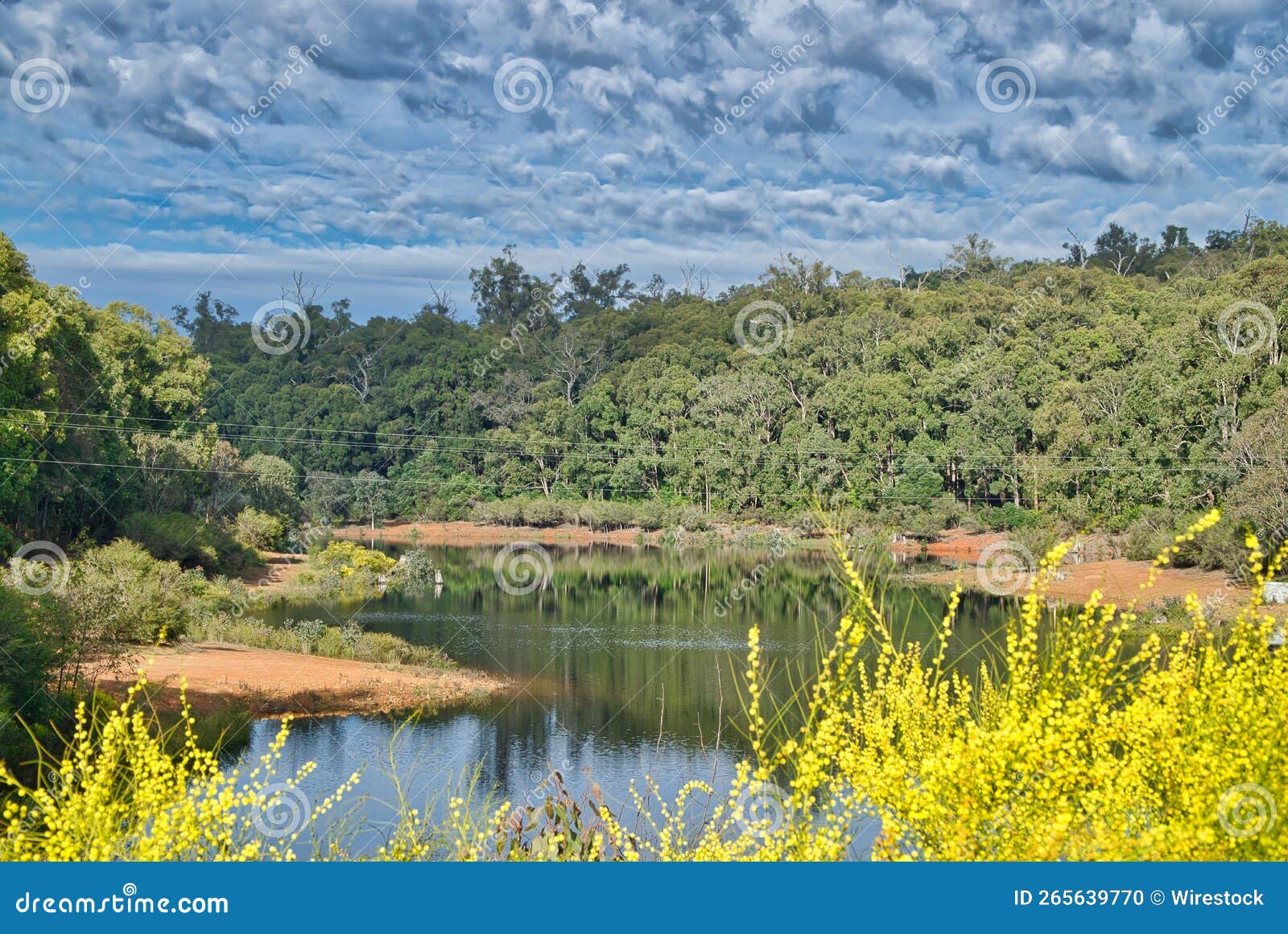 Beautiful Stream Reflecting Trees and a Cloudy Sky Around Stock Photo ...