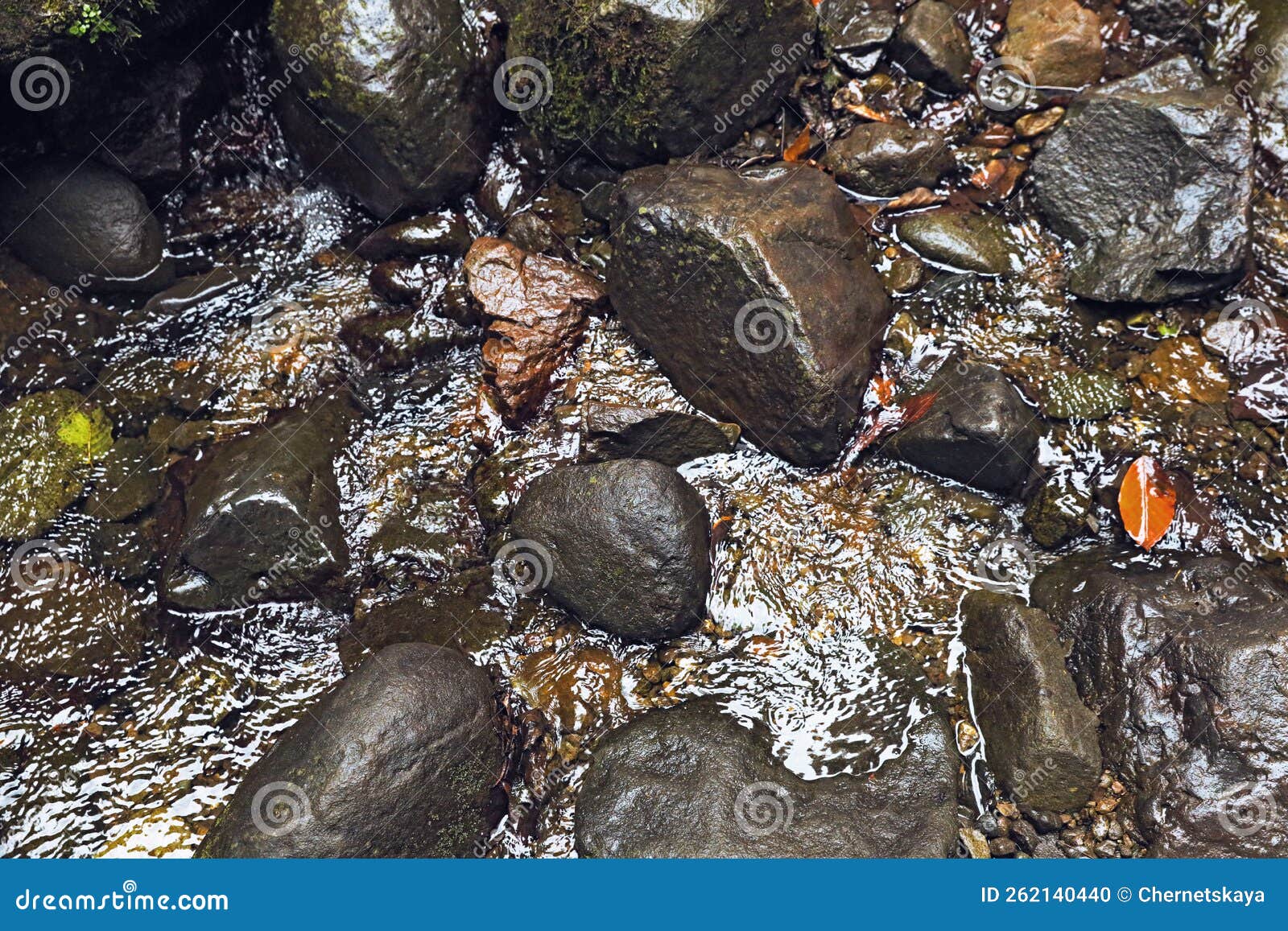 Beautiful Stream and Stones in Park, Above View Stock Photo - Image of ...