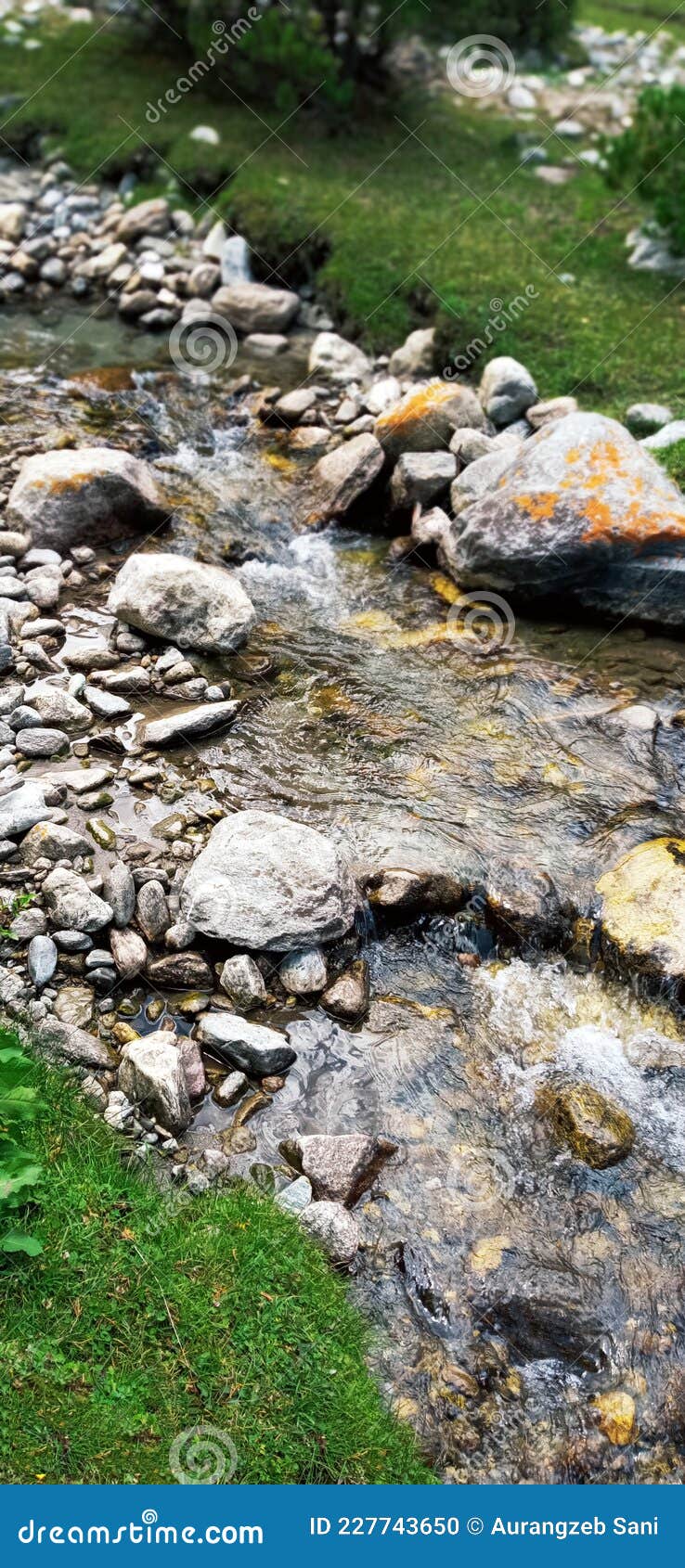 Beautiful Stream of Water Flowing through Stones and Grass Across the ...