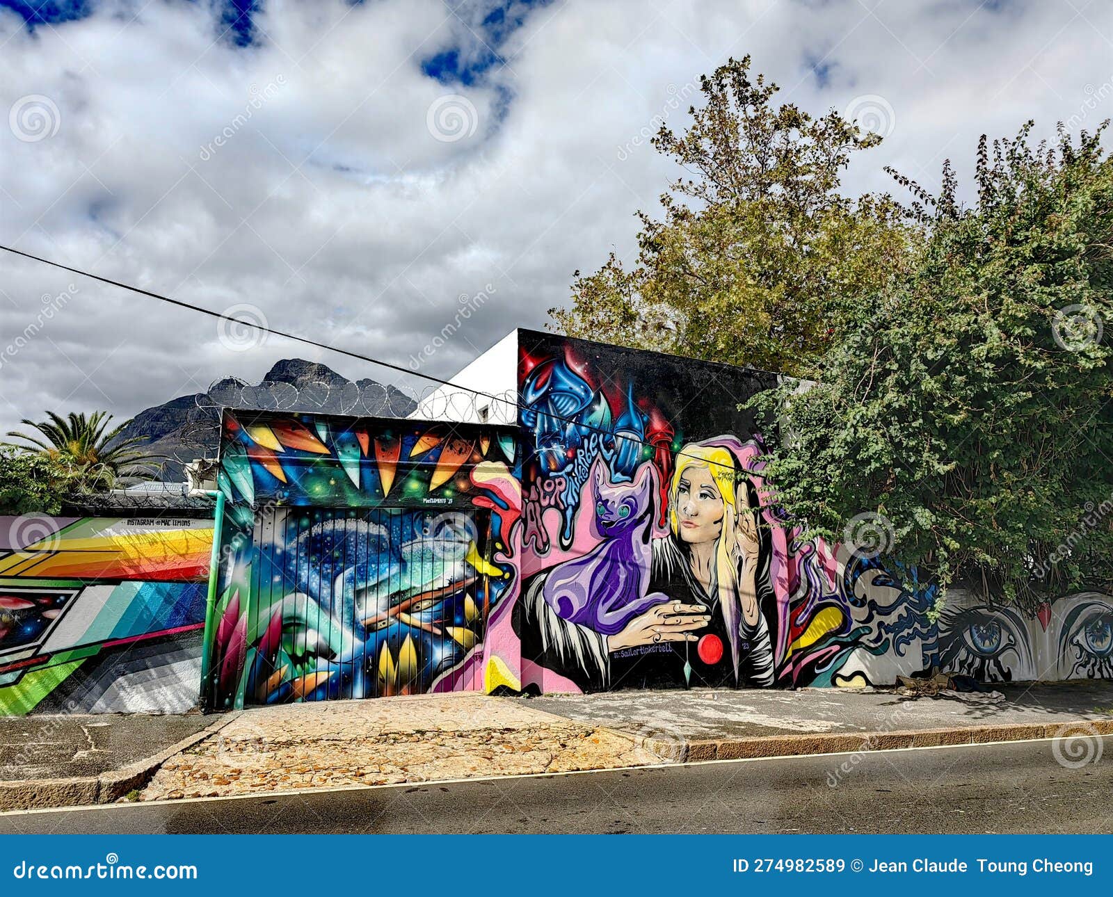 Beautiful Street Art in Cape Town. Editorial Stock Image - Image of ...