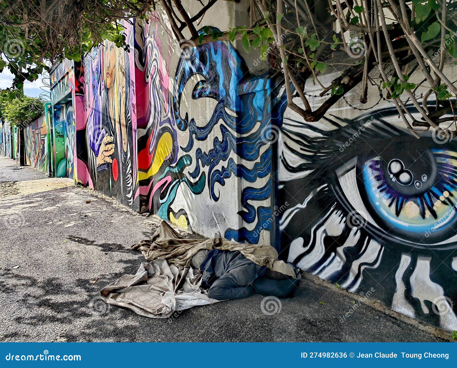 Beautiful Street Art in Cape Town. Editorial Photo - Image of street ...