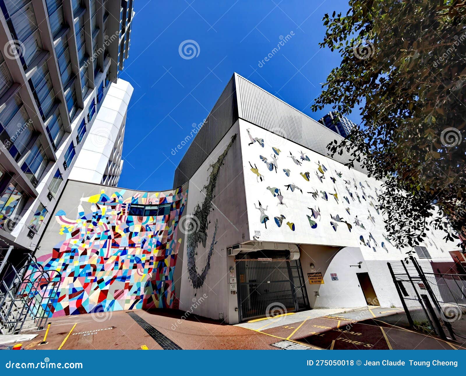 Beautiful Street Art in Perth CBD Editorial Stock Photo - Image of ...