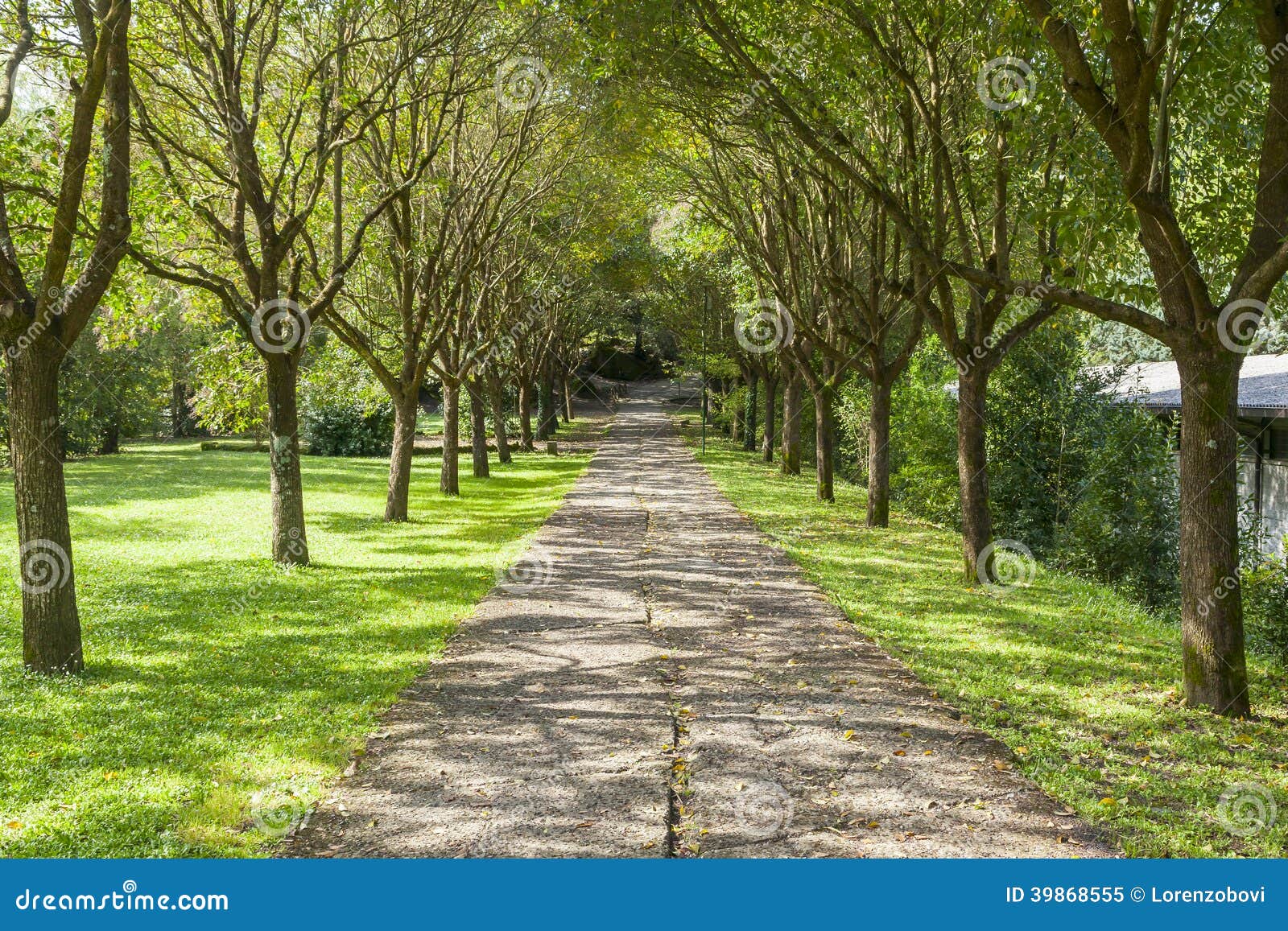 Beautiful street stock image. Image of foliage, colorful - 39868555