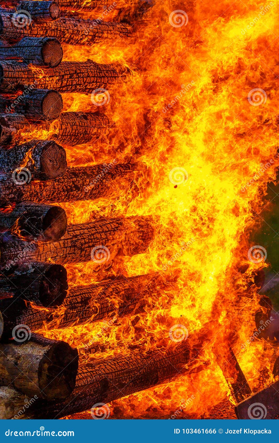 Beautiful Structure of Burning Logs and Flames of Great Bonfire. Stock ...