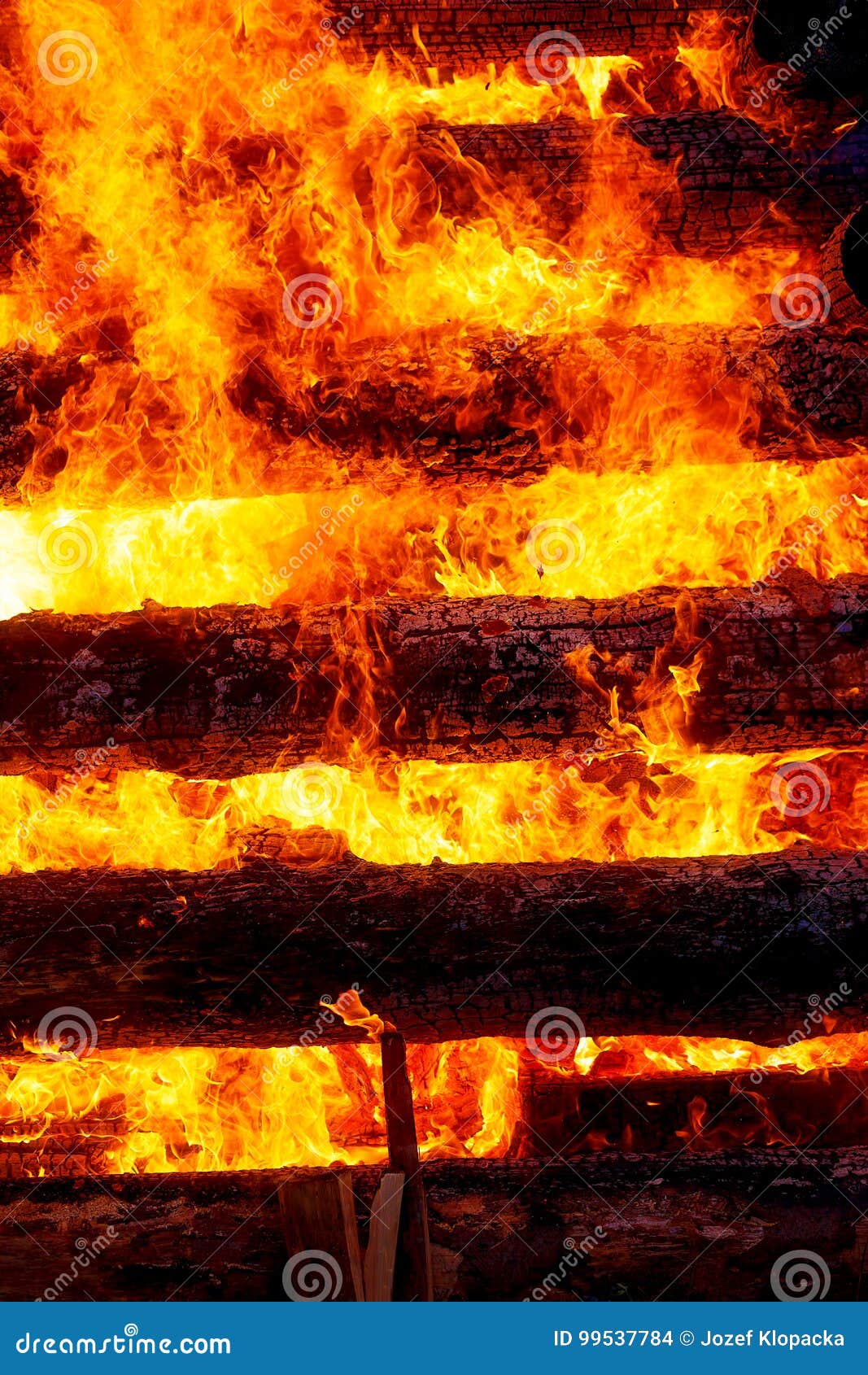 Beautiful Structure of Burning Logs and Flames of Great Bonfire. Stock ...