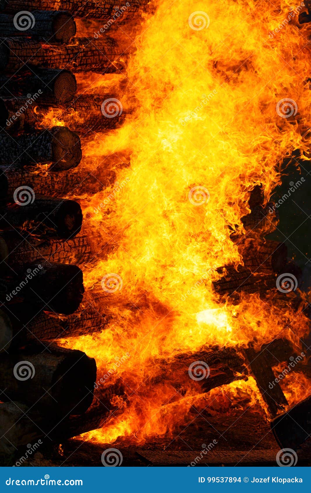 Beautiful Structure of Burning Logs and Flames of Great Bonfire. Stock ...