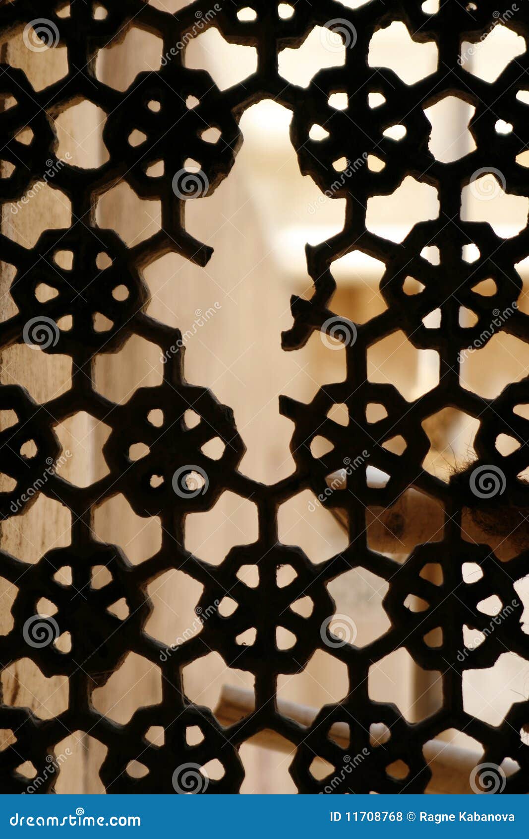 Beautiful Structured Window in Amber Fort, India Stock Photo - Image of ...