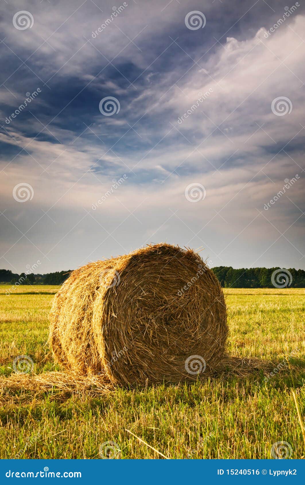 Beautiful Stubble Field with Hay Bales by Summer. Stock Photo - Image ...