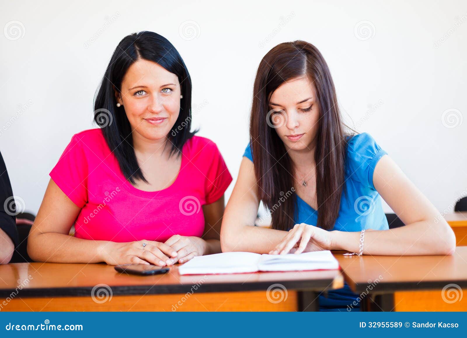 Beautiful Students Studying Stock Image - Image of revising, notebook ...