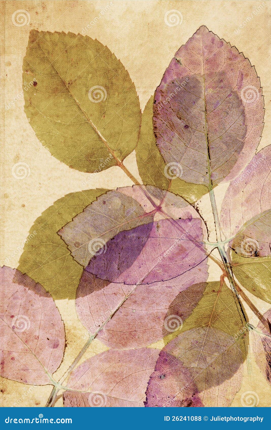 Beautiful Subtle Vintage Background Stock Illustrations – 2,273 ...