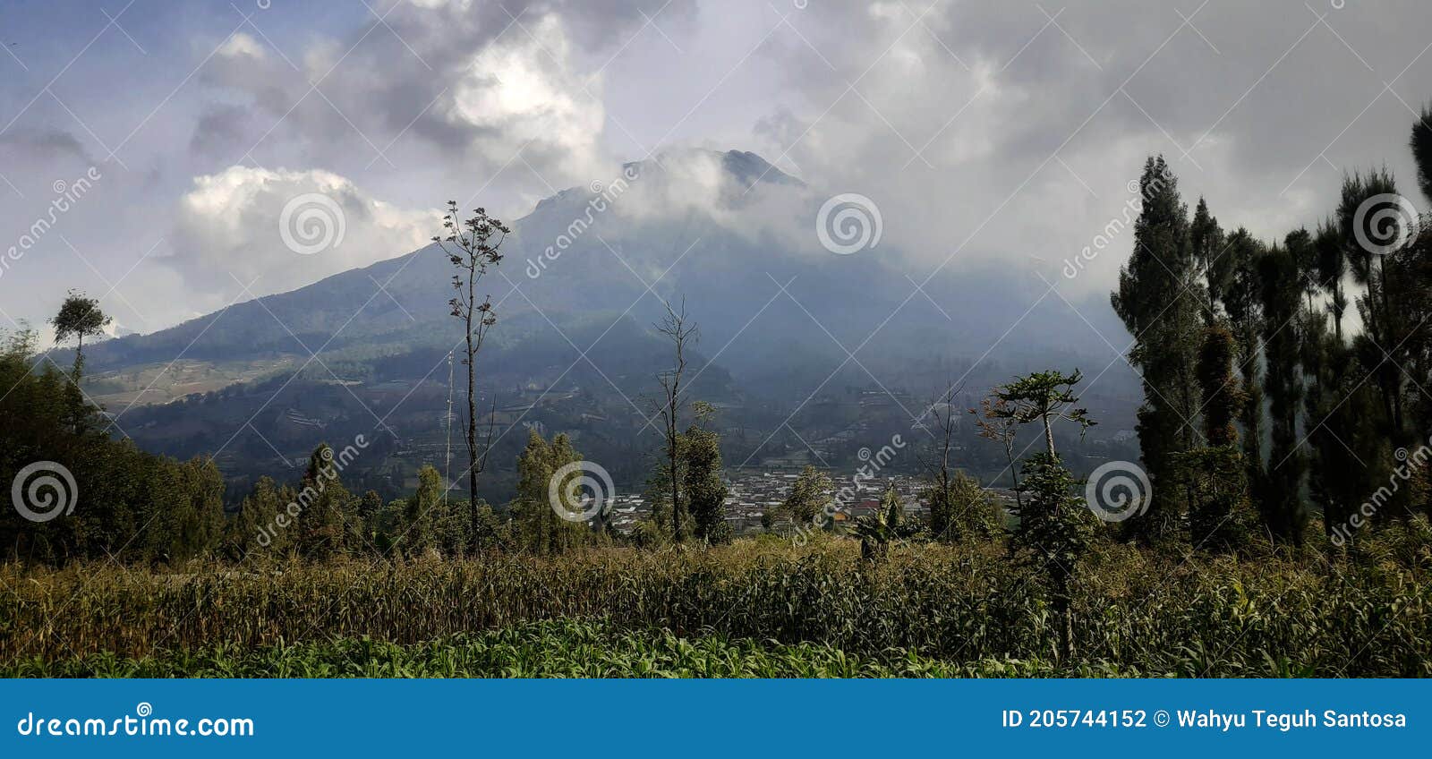 Beautiful of Sumbing Mountain Stock Photo - Image of field, plant ...