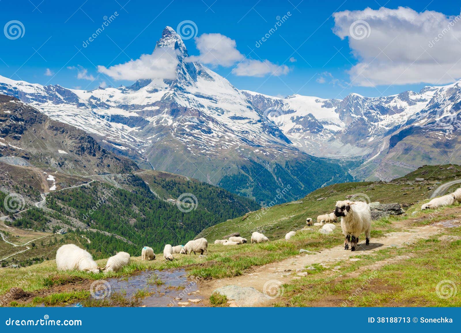 Beautiful Summer Alpine Mountains Stock Image - Image of pond, rocks ...
