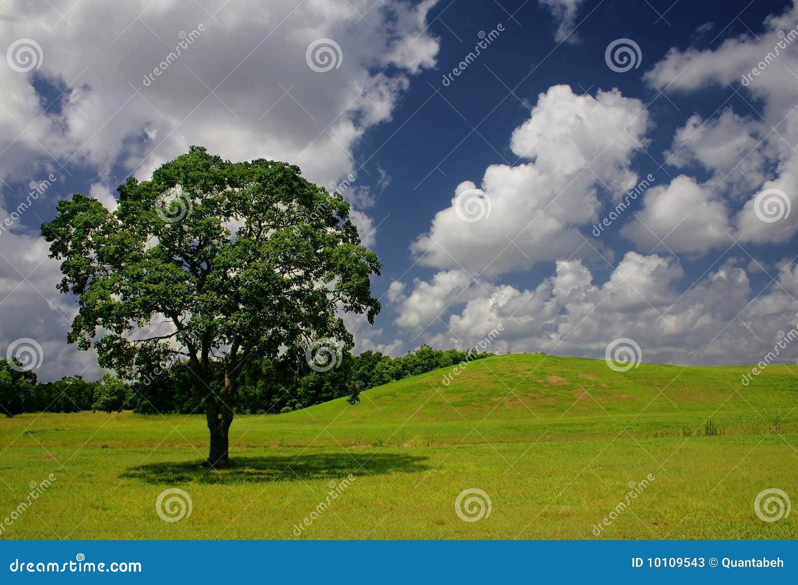 A beautiful summer day stock image. Image of green, nature - 10109543