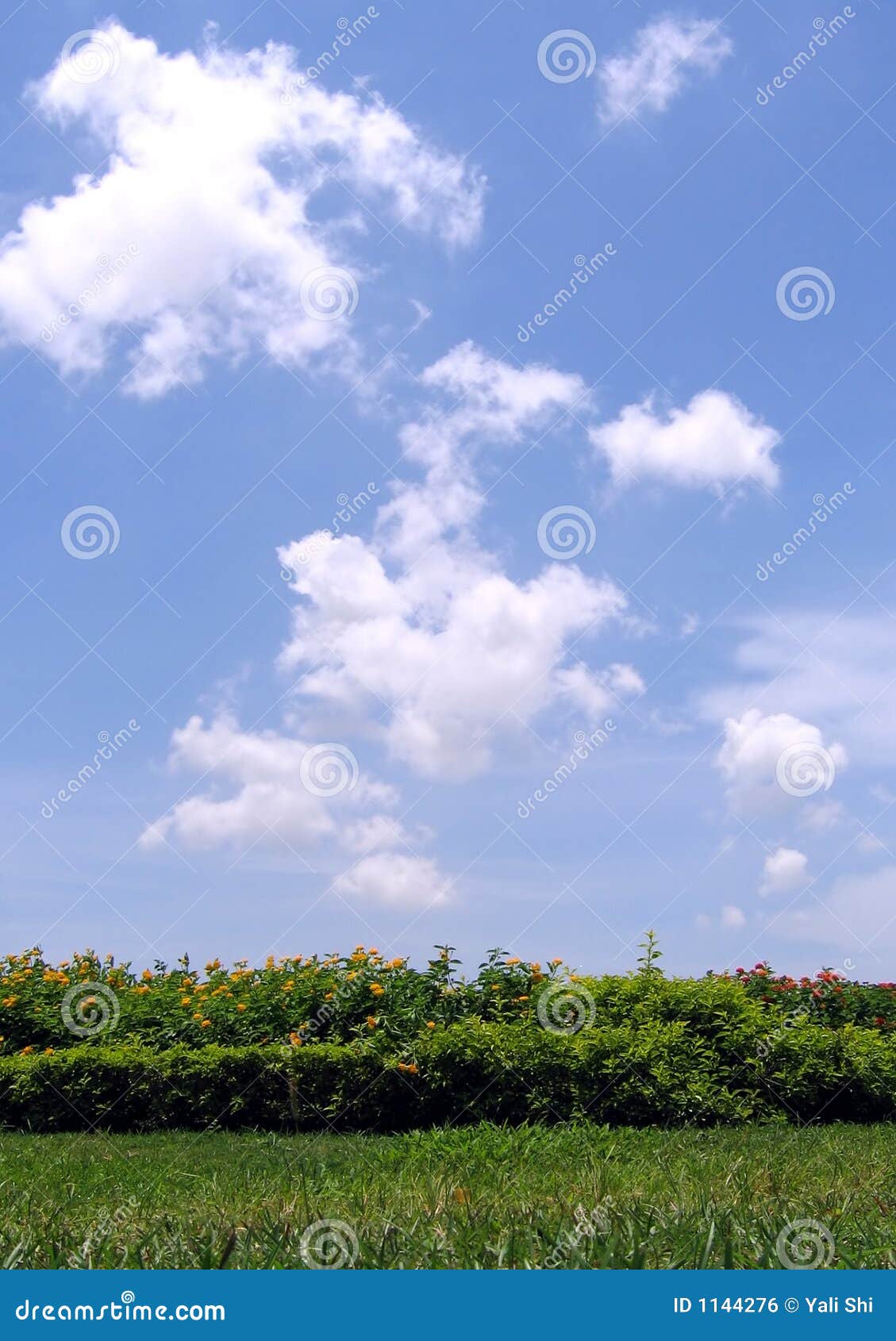 Beautiful Summer Day stock photo. Image of hedge, outdoors - 1144276
