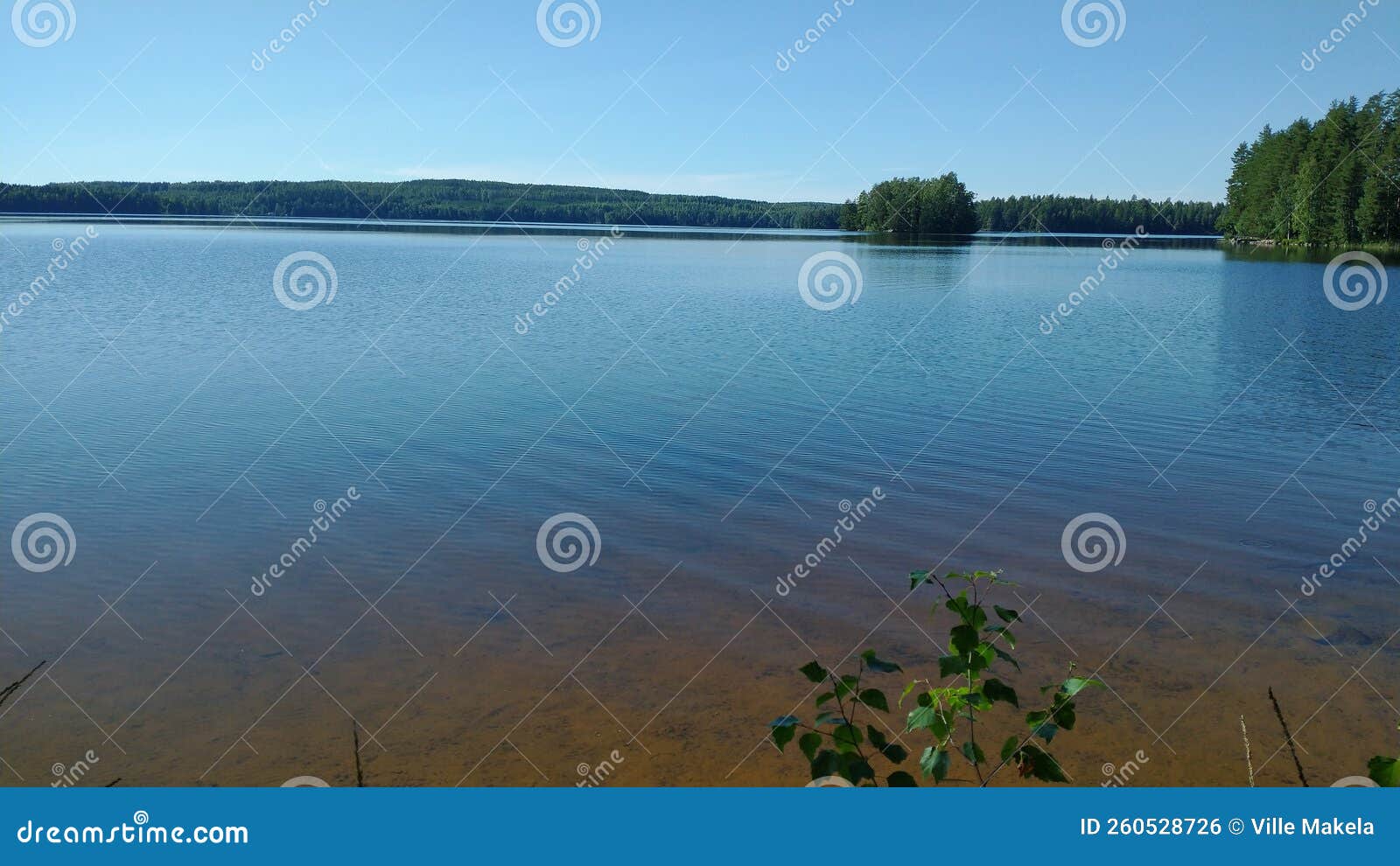 Beautiful Summer Day at the Lake Stock Photo - Image of nature ...