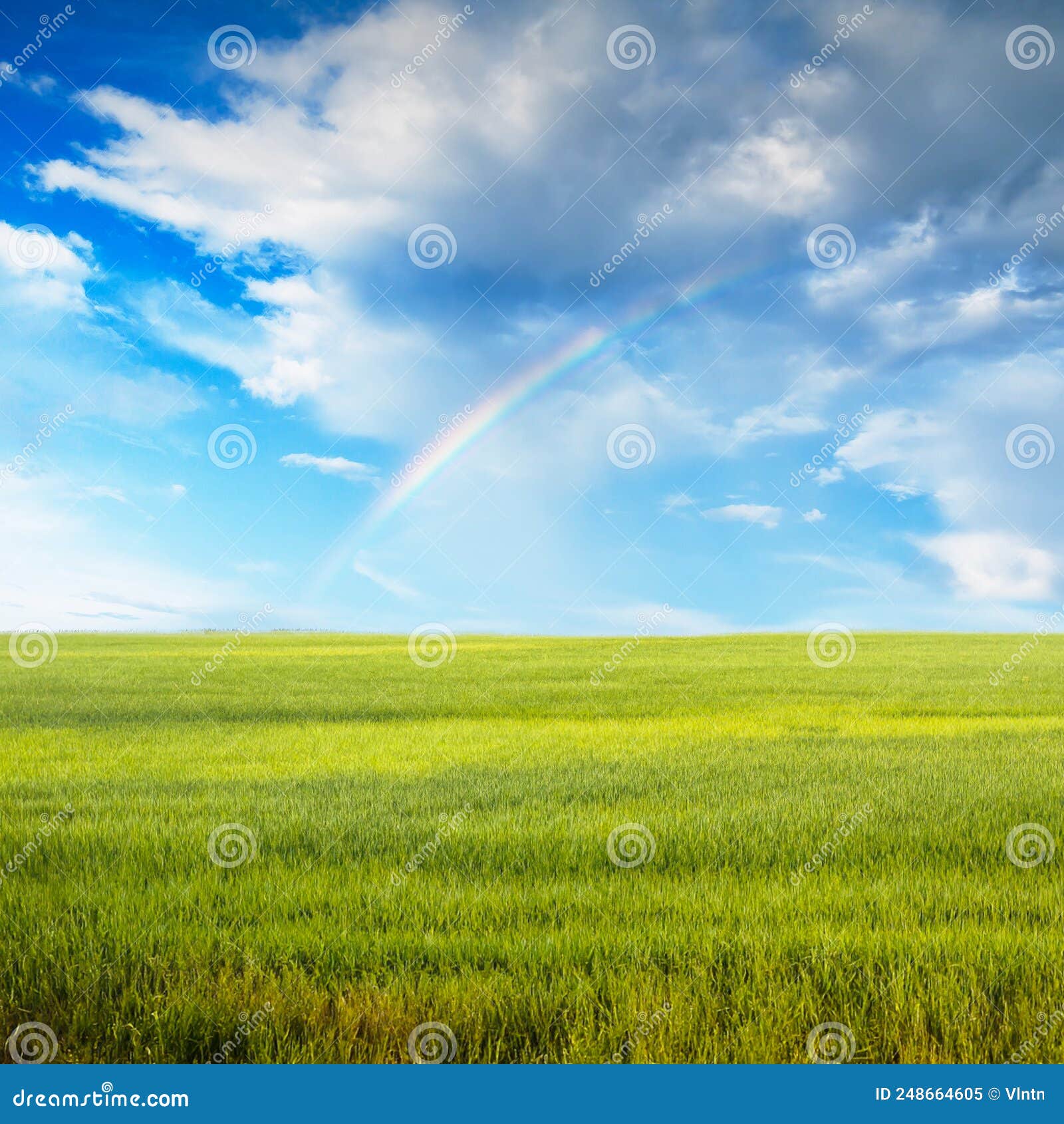 Beautiful summer fields stock image. Image of fresh - 248664605