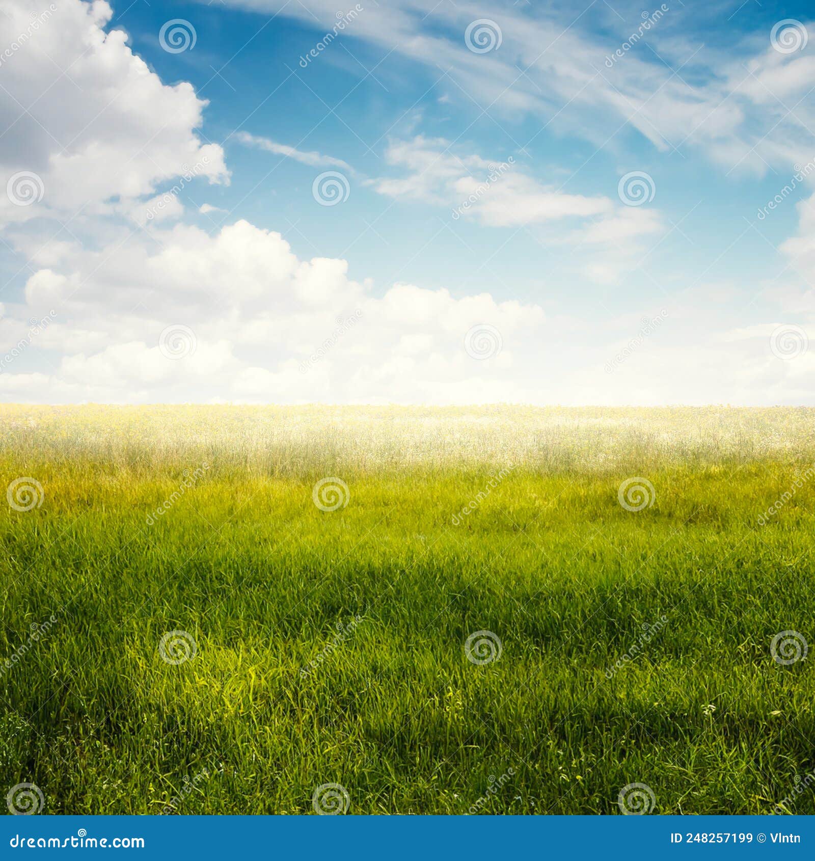 Beautiful summer fields stock image. Image of lawn, weather - 248257199