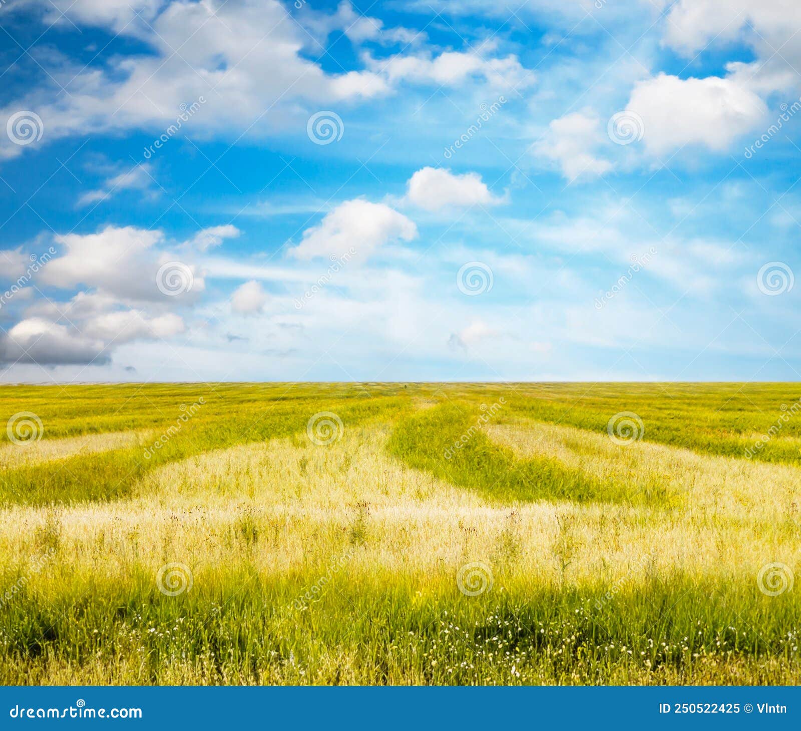 Beautiful summer fields stock image. Image of cloudscape - 250522425