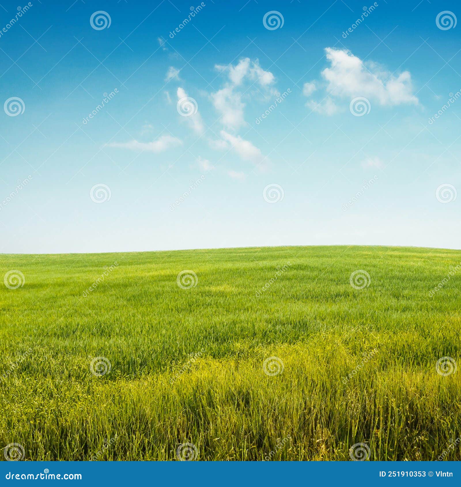 Beautiful summer fields stock image. Image of clouds - 251910353