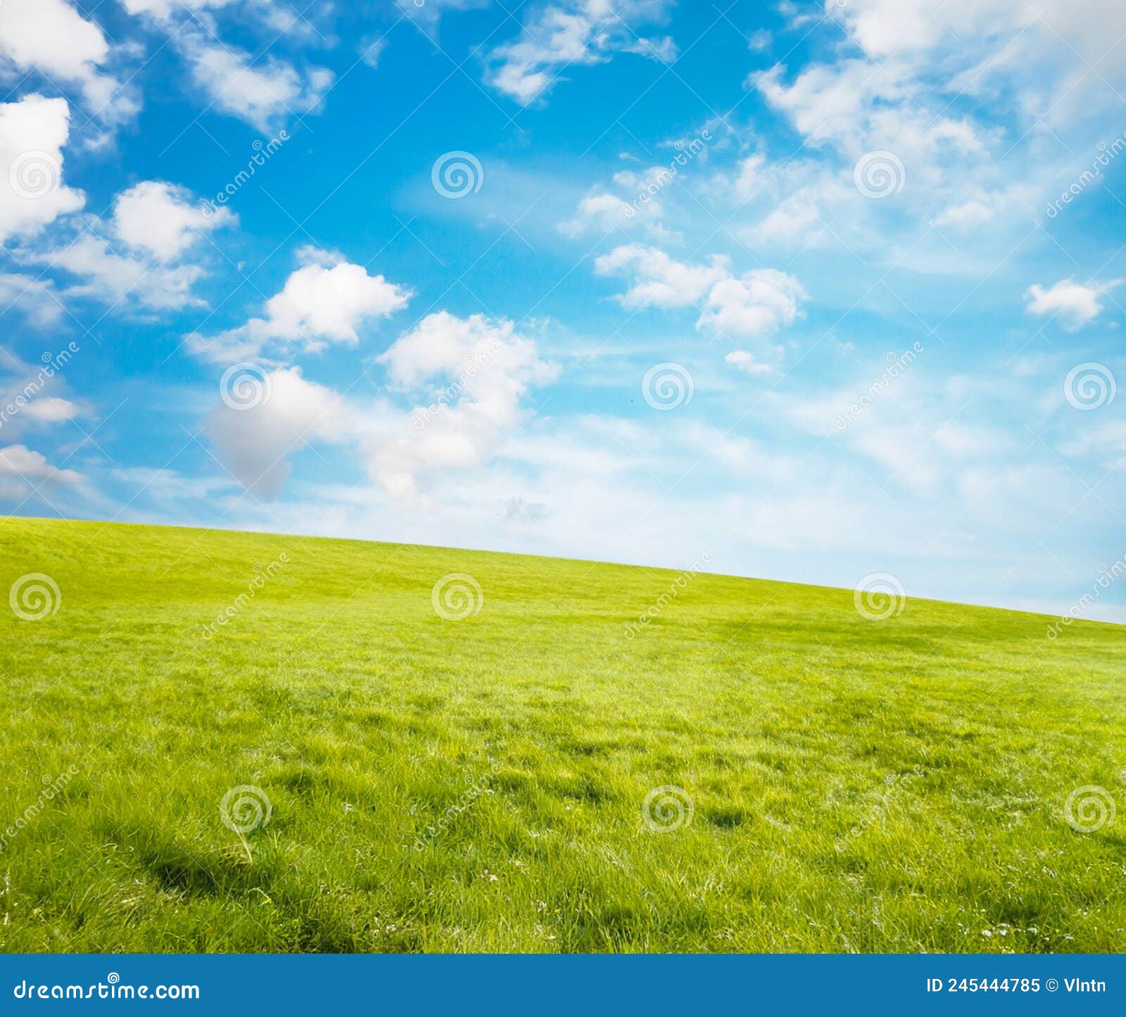 Beautiful summer fields stock image. Image of heaven - 245444785